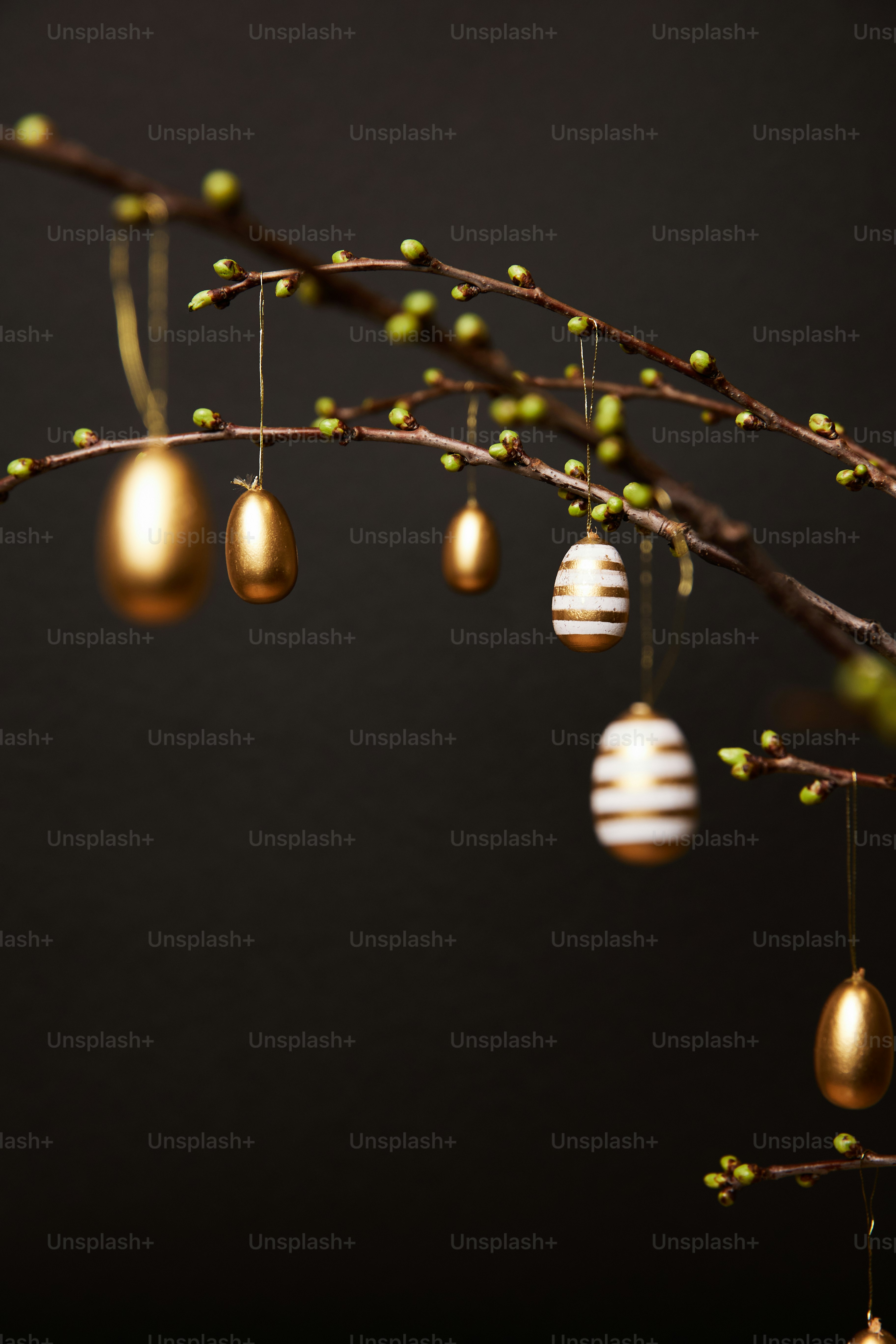A branch with ornaments hanging from it photo – Easter branch Image on ...