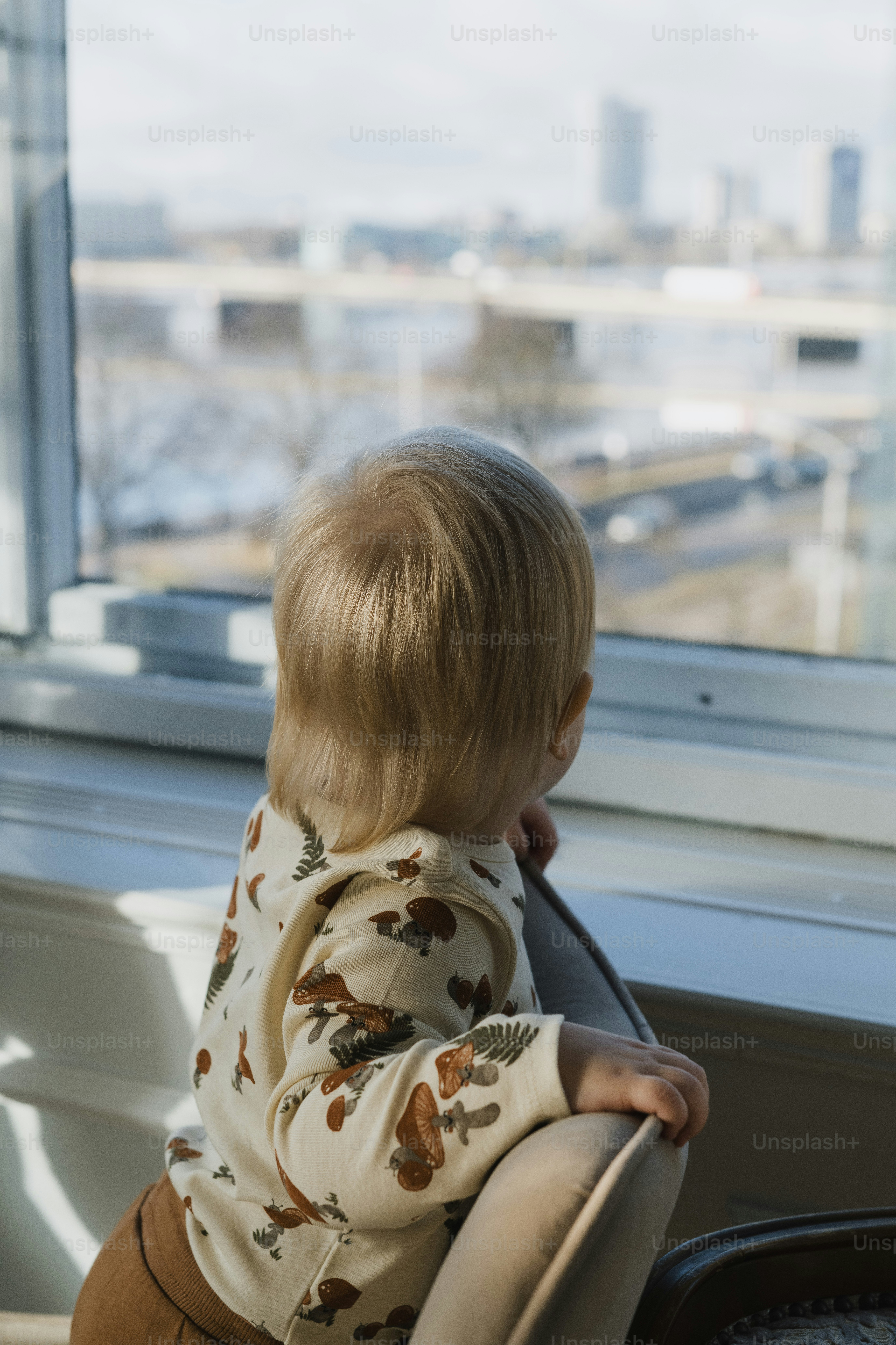 A little boy sitting in a chair looking out a window photo – Family ...
