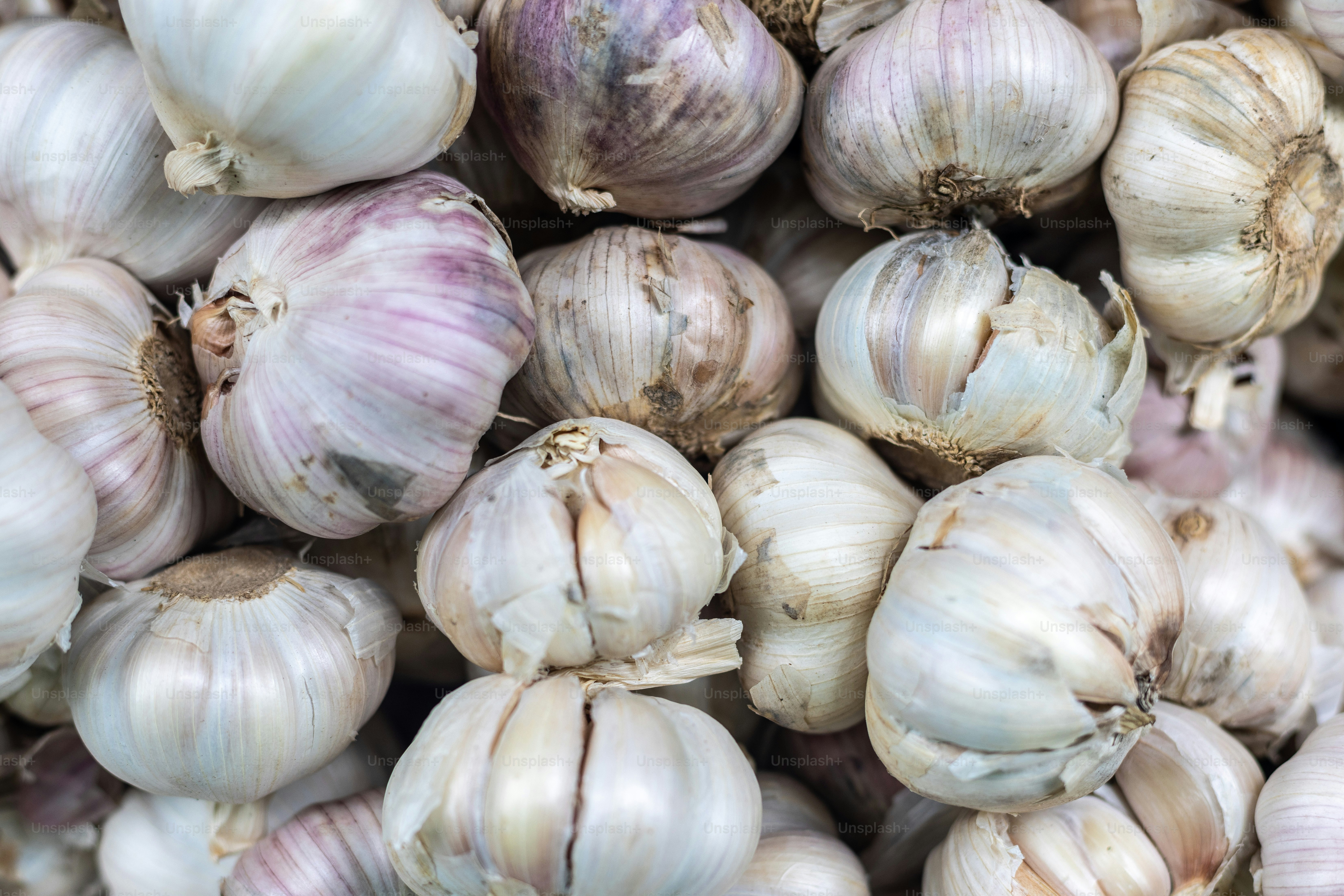 A pile of garlic is shown in this image photo – Garlic Image on Unsplash
