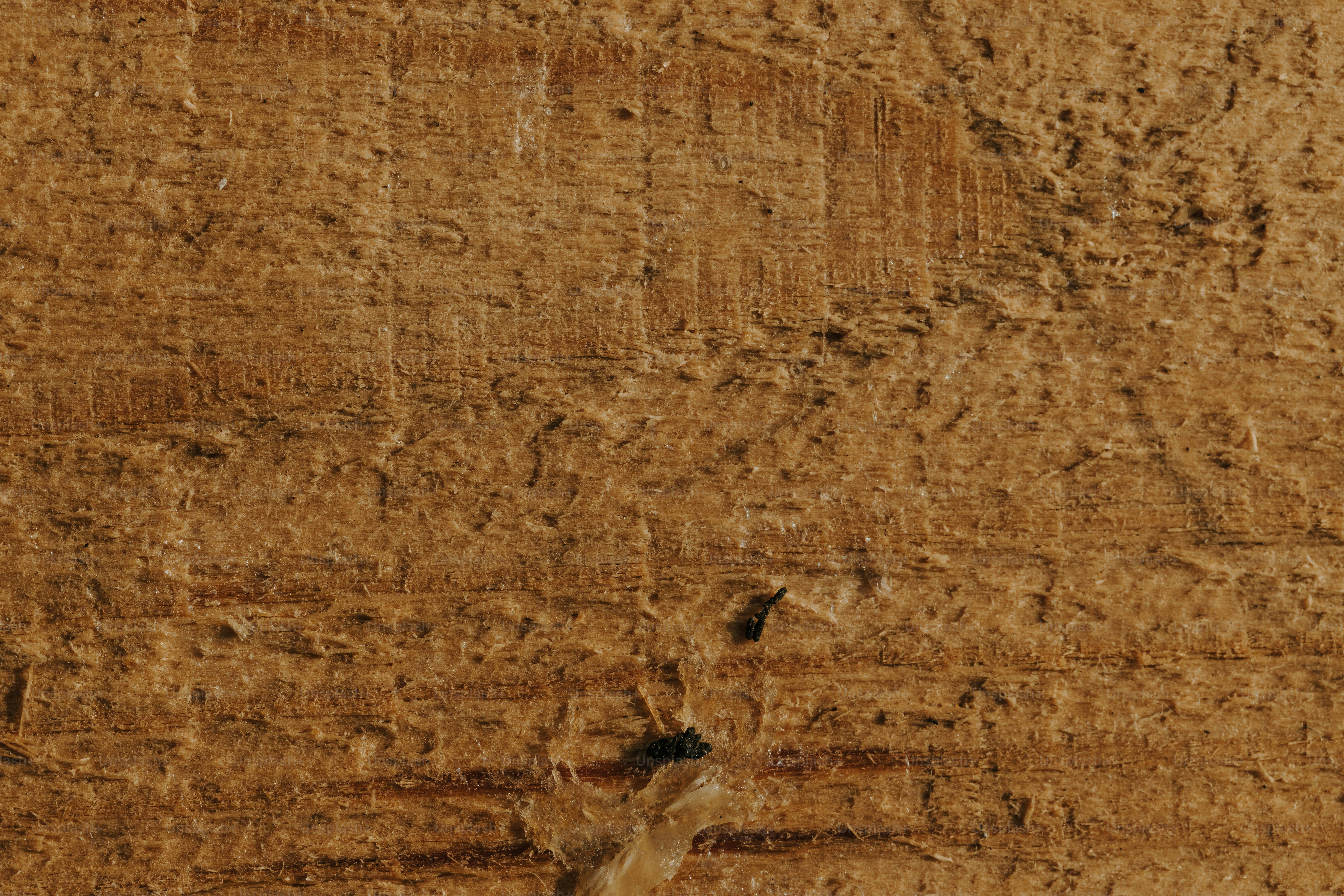 A close up of a piece of dirt with small squares on it photo – Texture ...