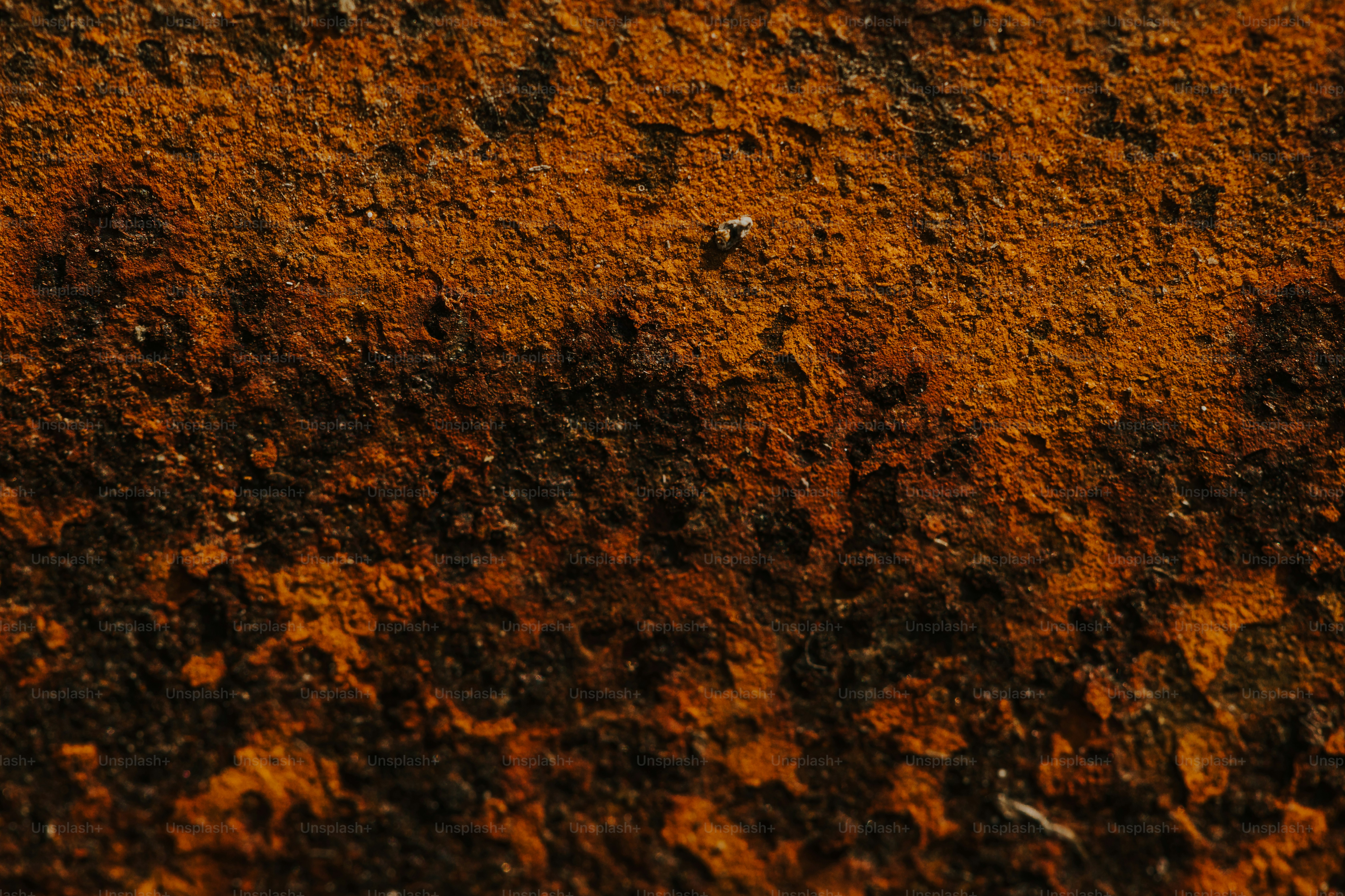 Rusted Metal Pictures | Download Free Images on Unsplash
