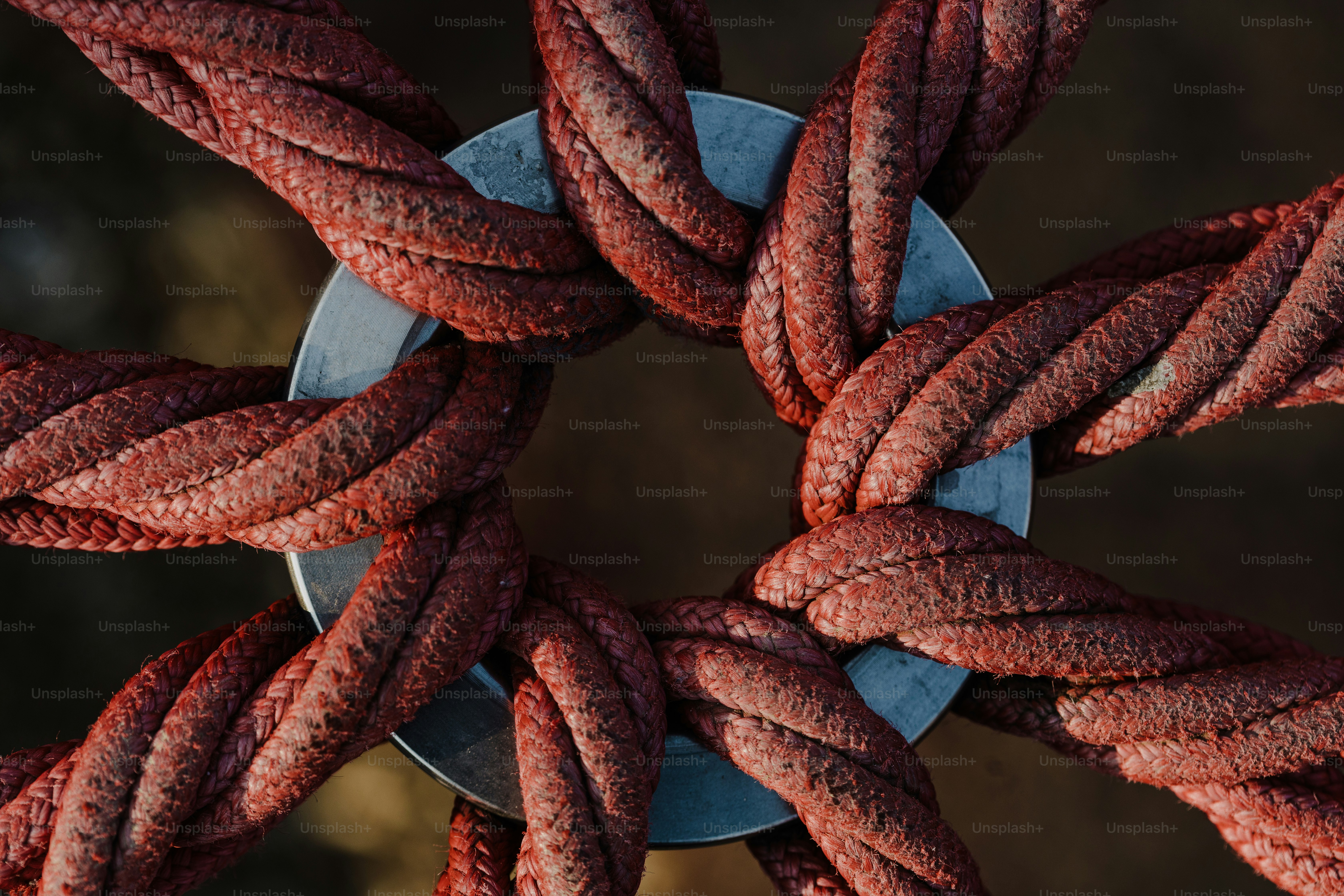 750+ Rope Pictures [HD] | Download Free Images on Unsplash