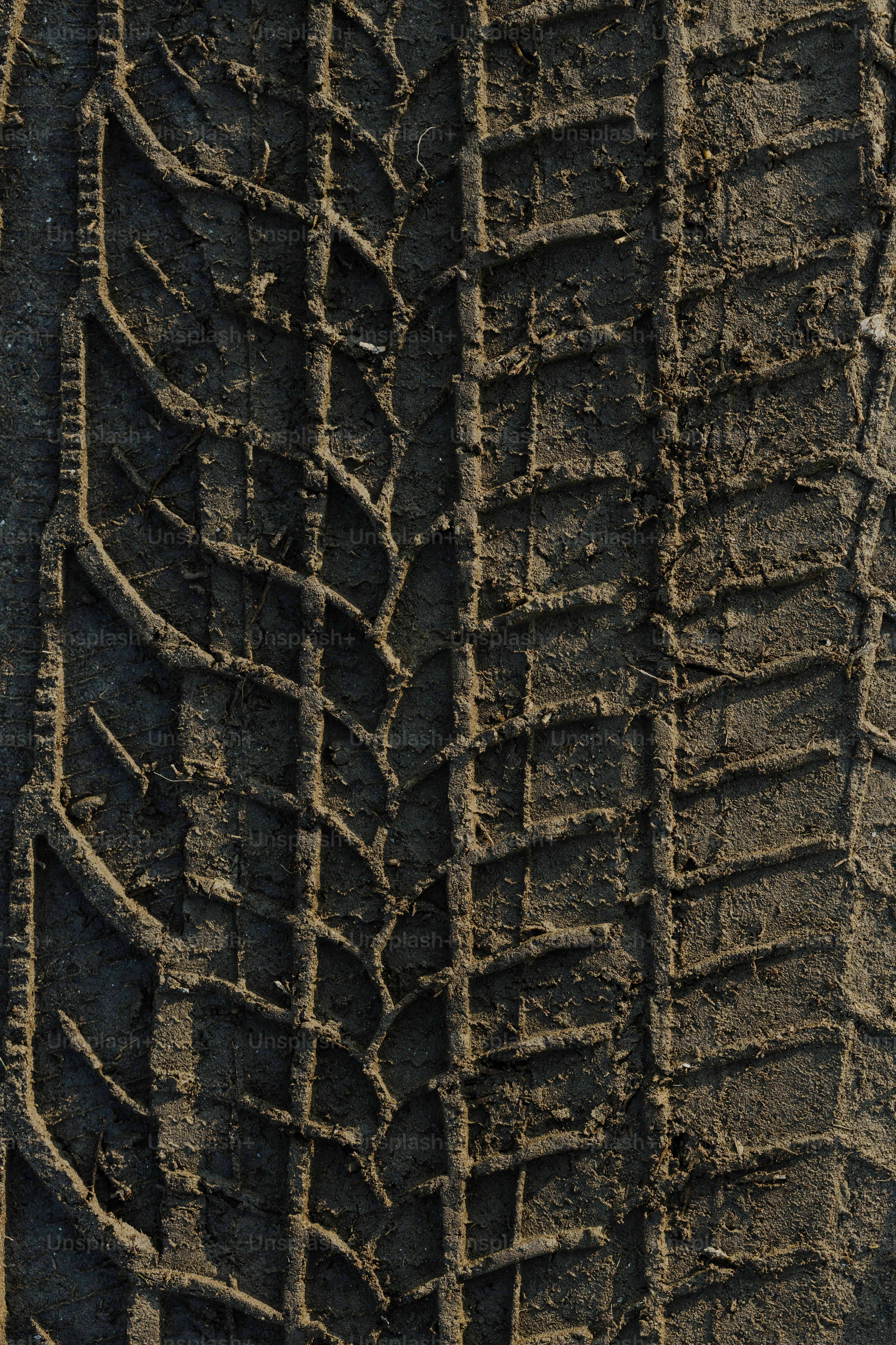 Tread Pictures | Download Free Images on Unsplash