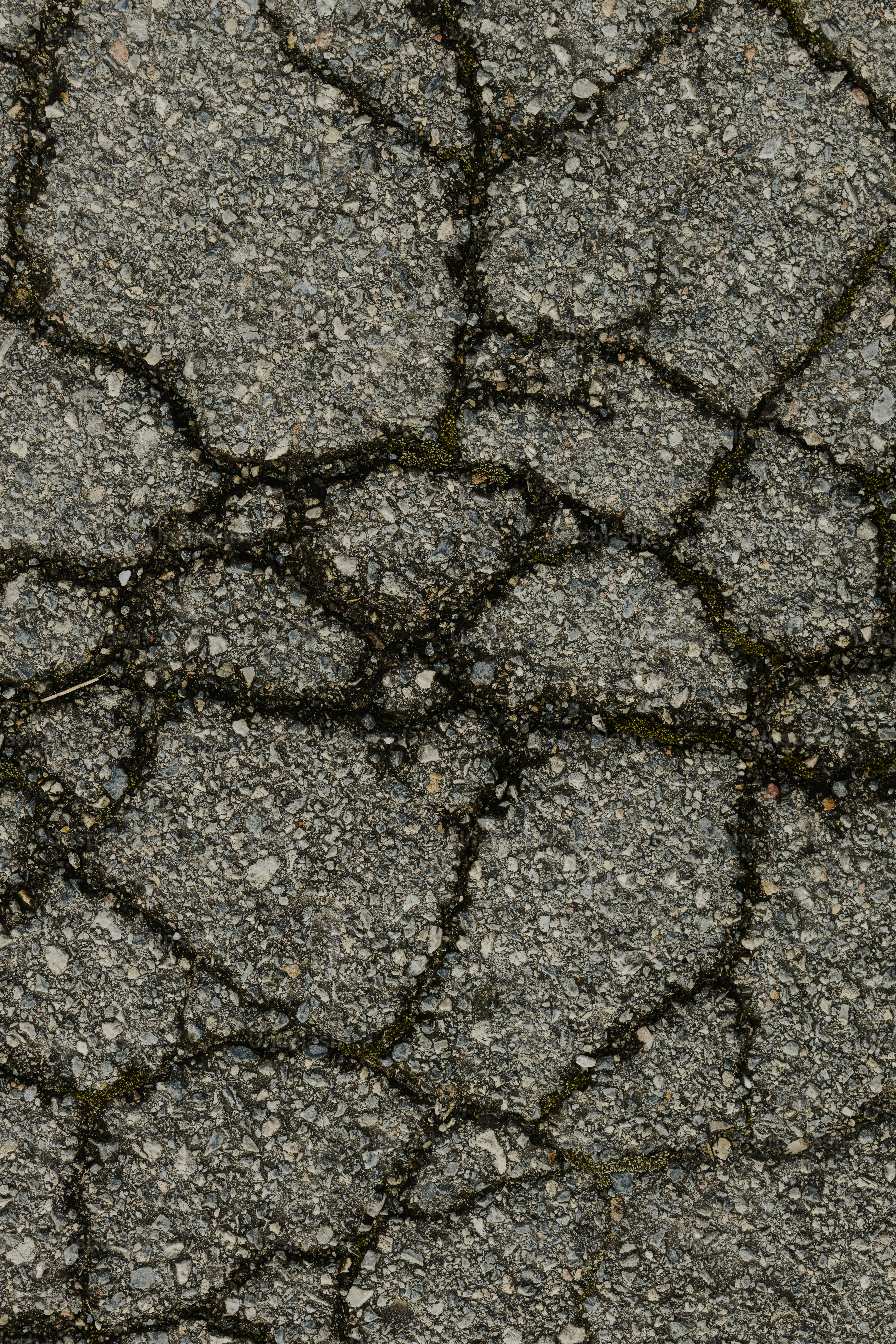 Seamless Cracked Road Texture