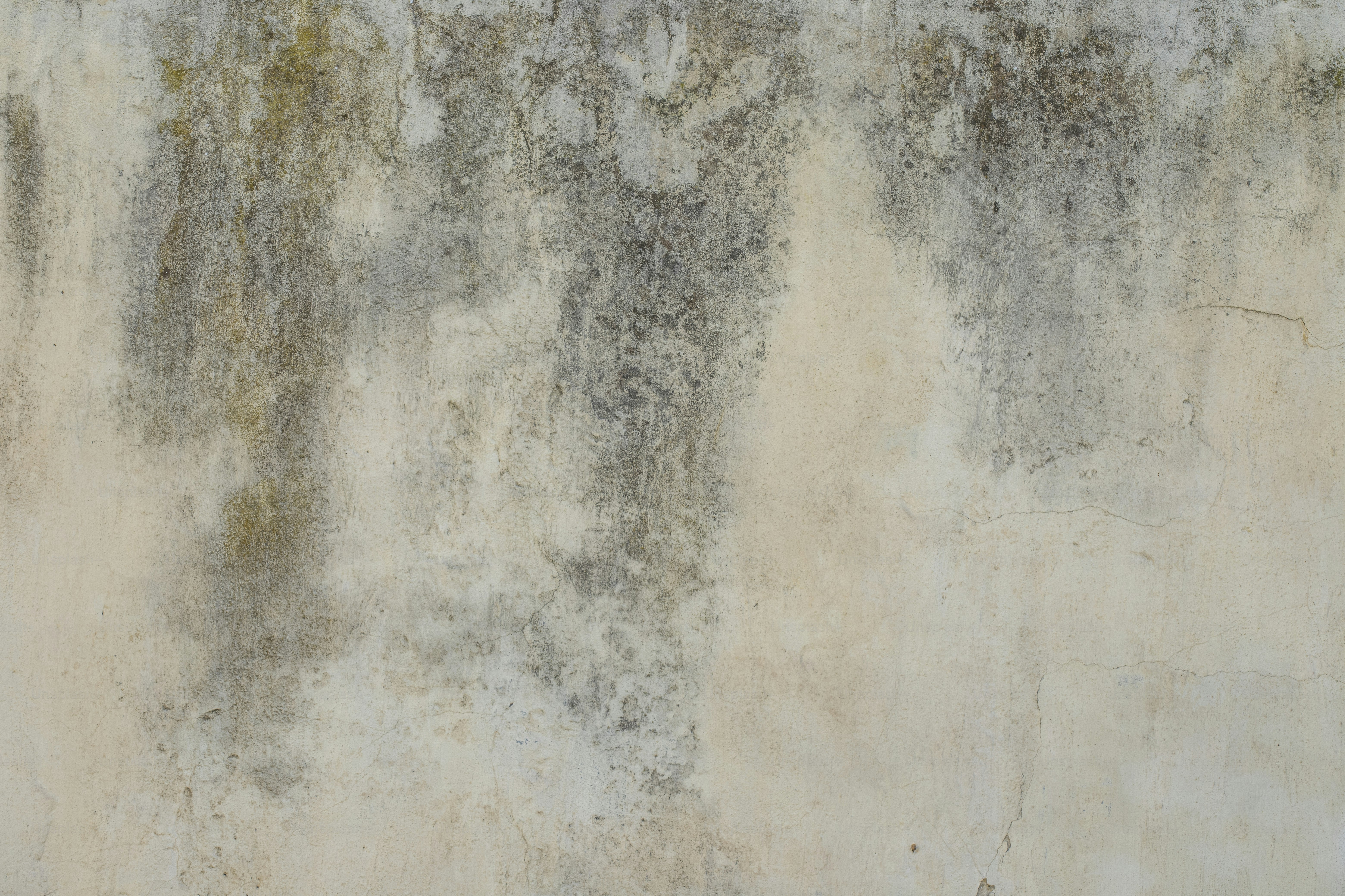 Dirty Wall Pictures | Download Free Images on Unsplash
