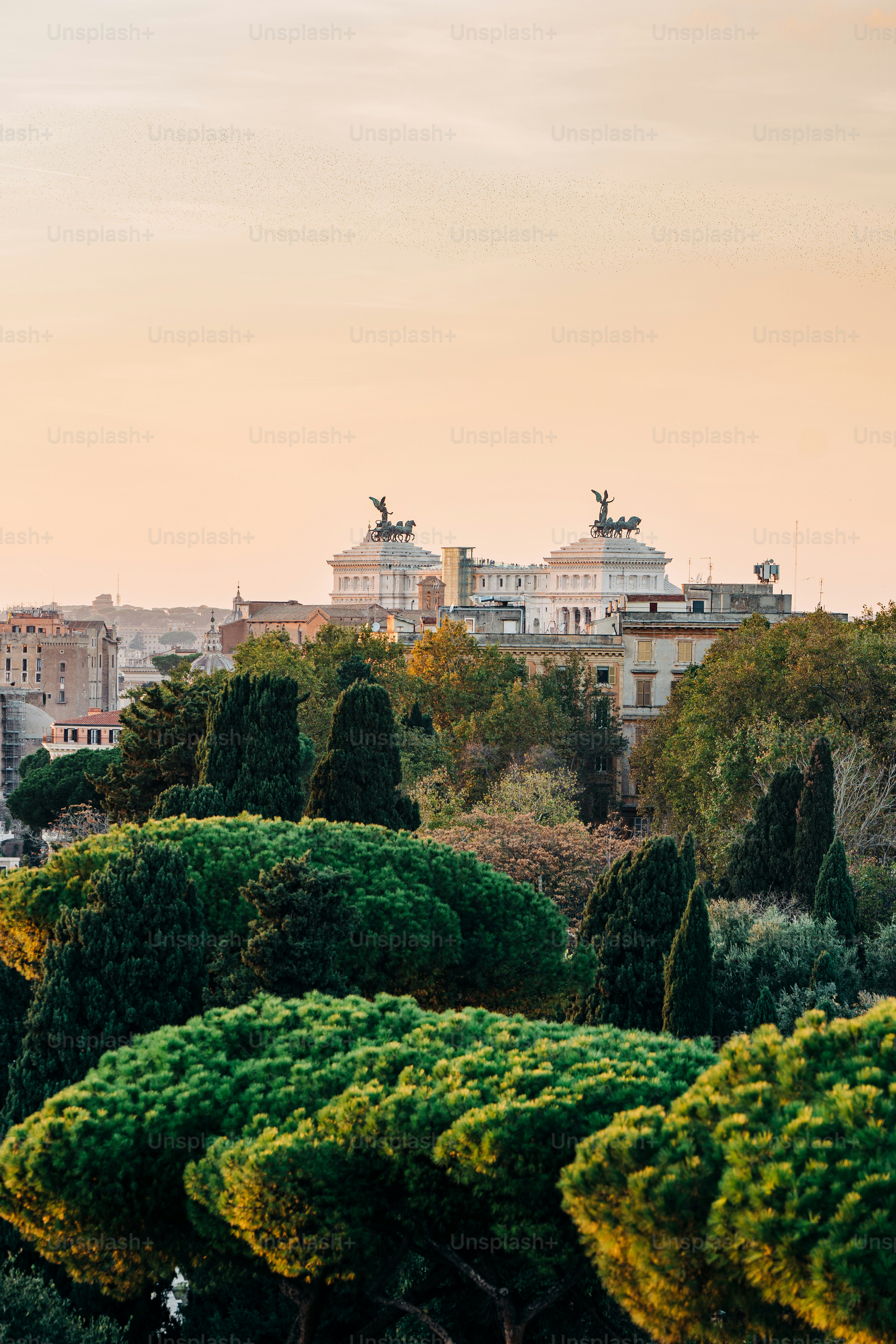A view of a city with trees and buildings photo – Rome Image on Unsplash