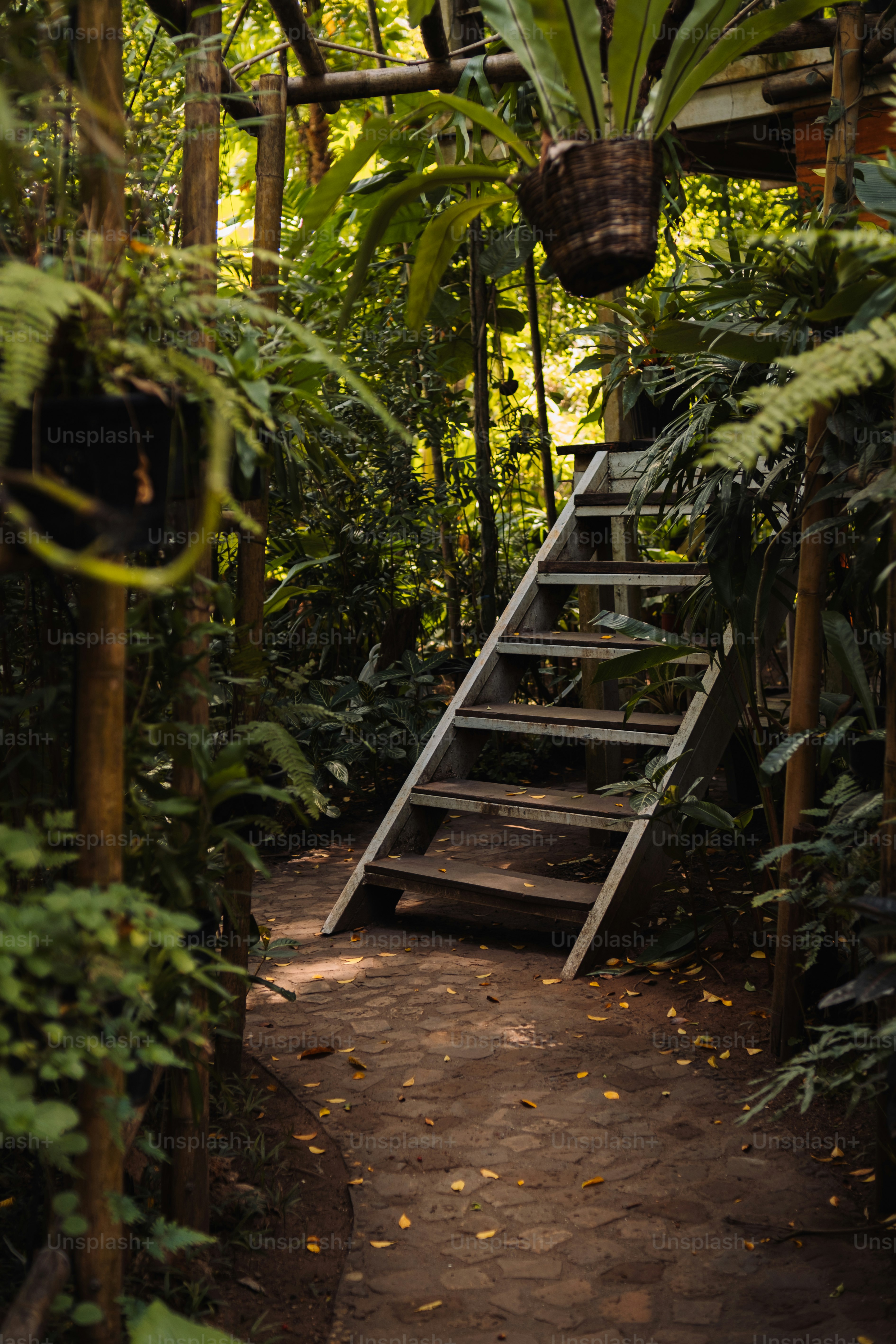 A set of stairs leading up to a tree house photo – Garden Image on Unsplash