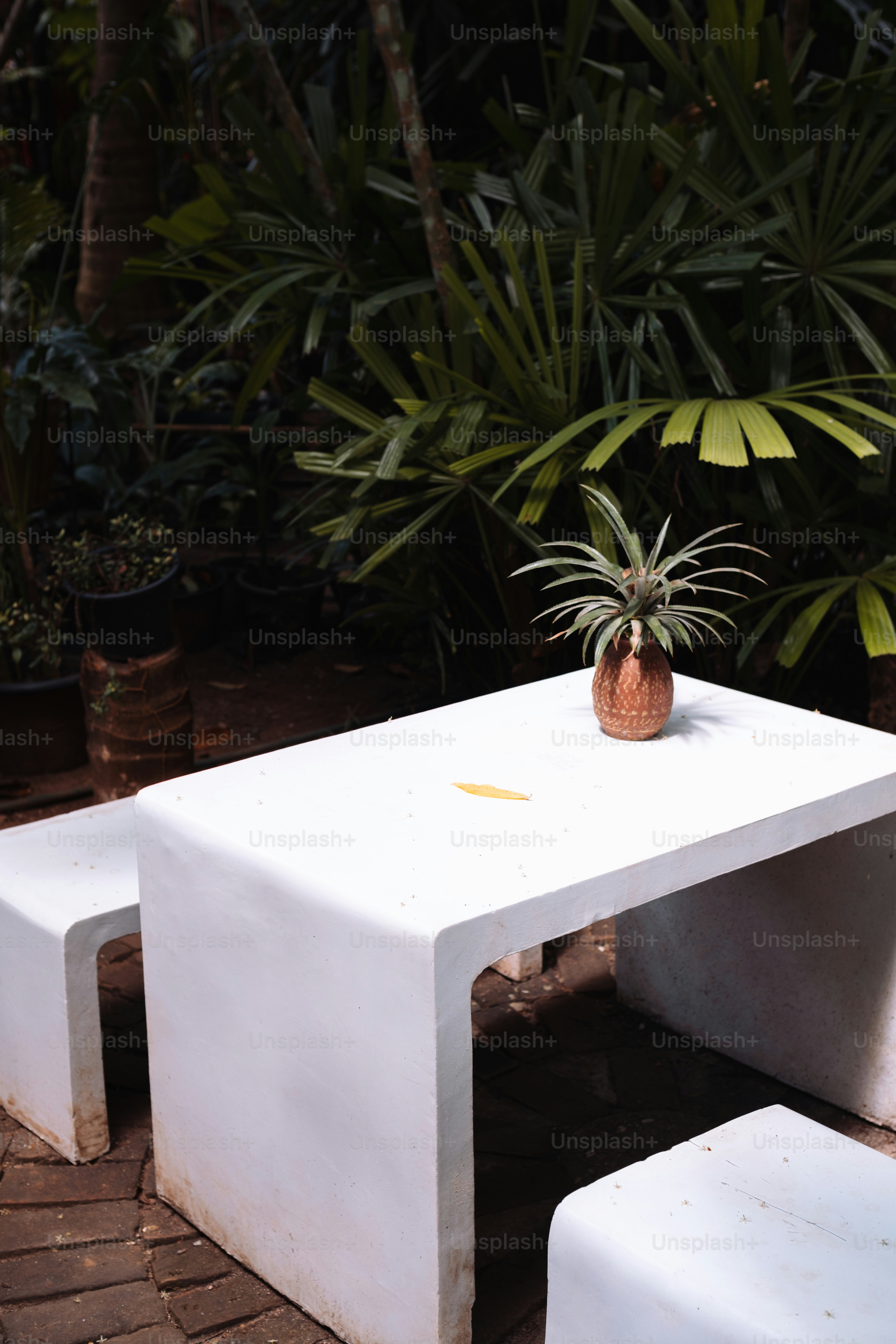 A white table with a potted plant on top of it photo – Outdoor patio ...