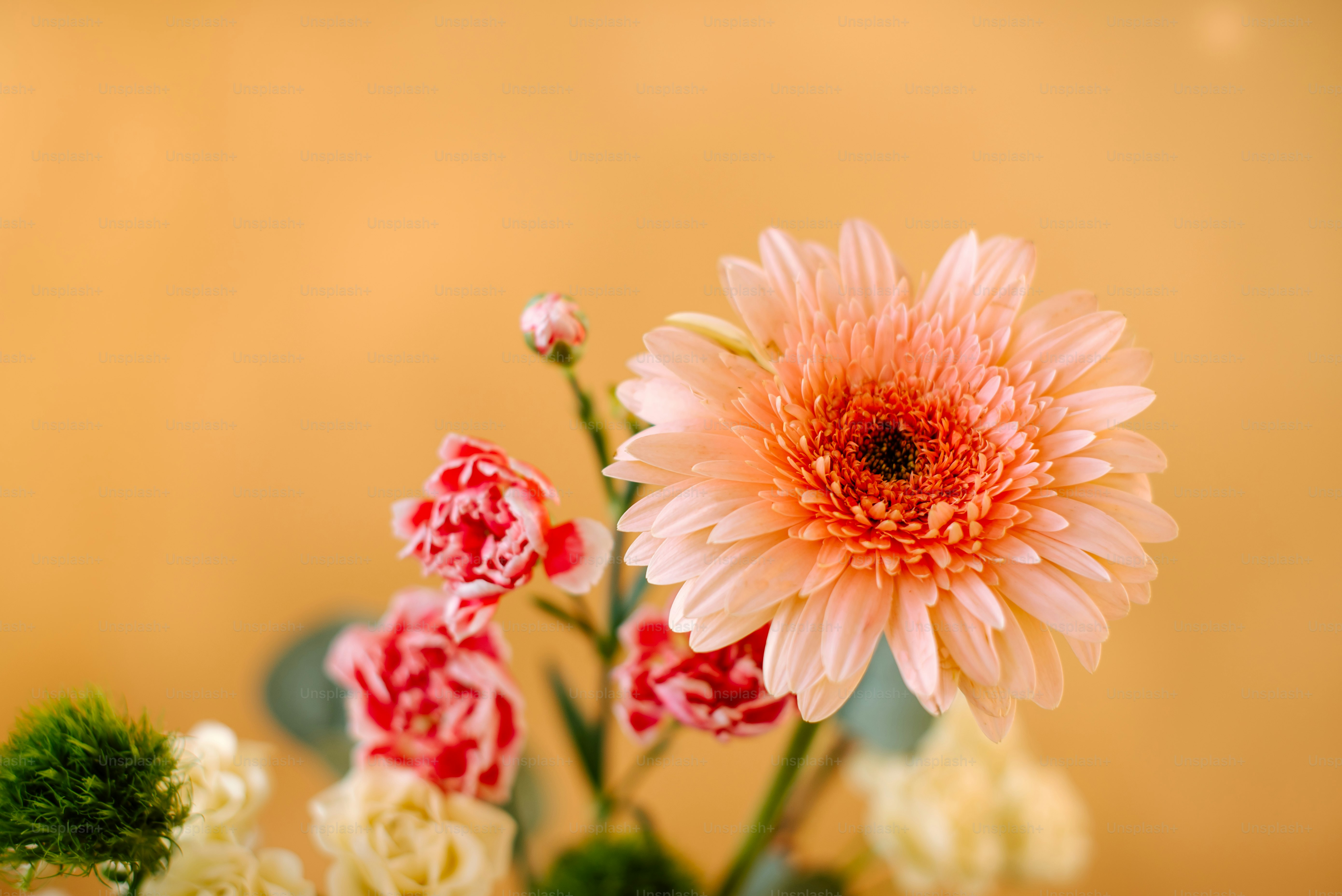 A vase filled with pink and red flowers photo – Bright flowers Image on ...