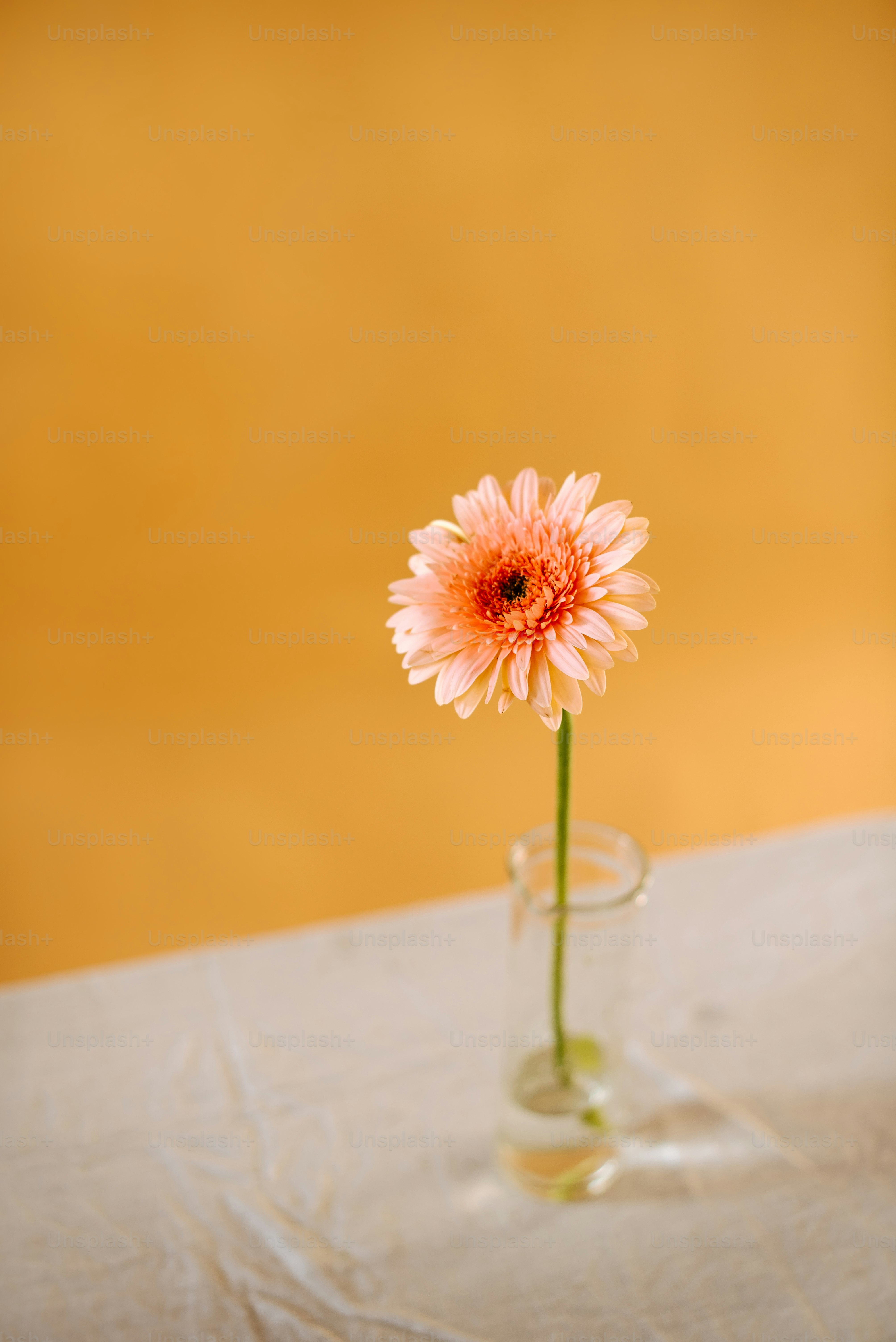 A bunch of flowers that are in a vase photo – Laptop wallpaper Image on ...