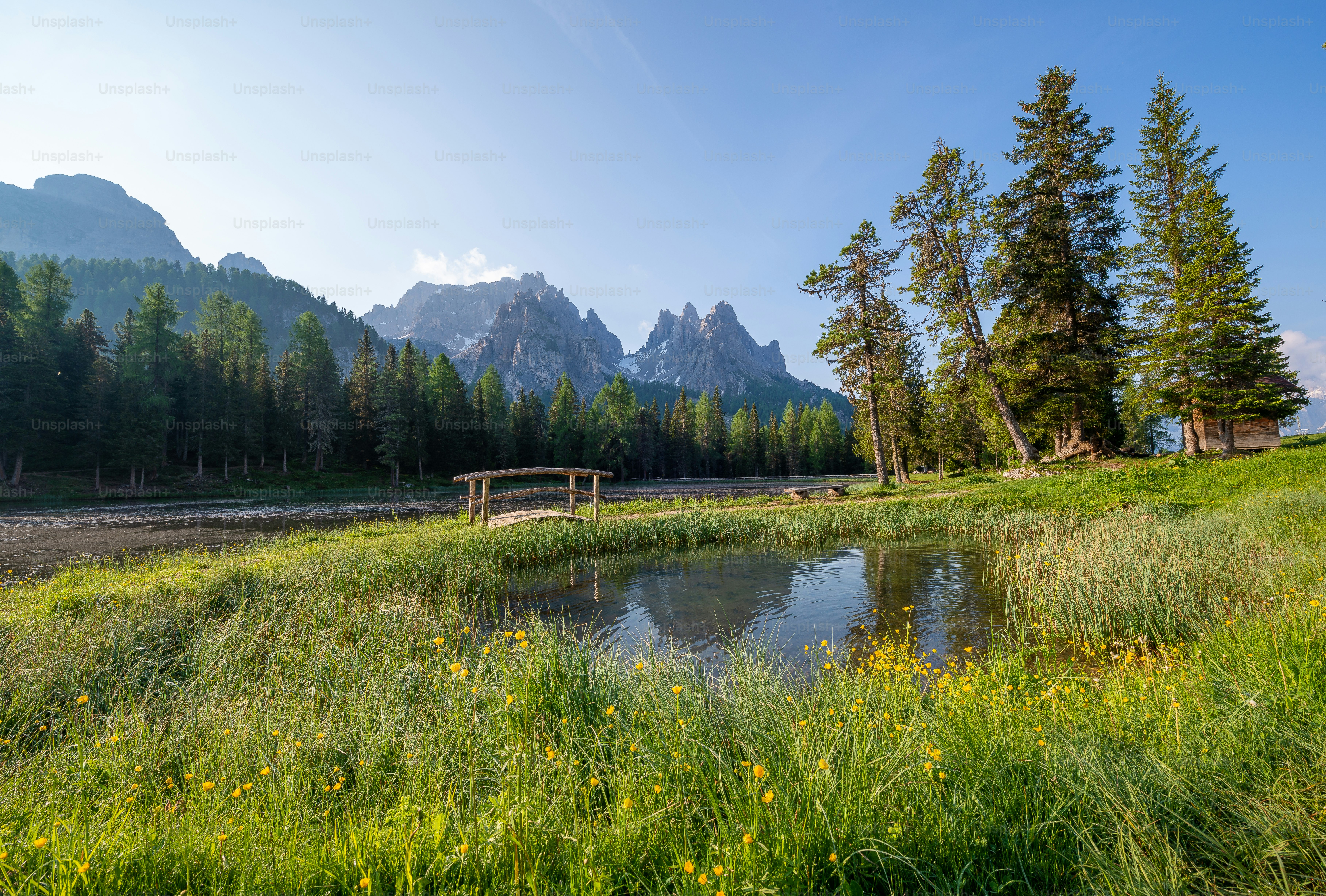 A small pond in a grassy field with mountains in the background photo ...