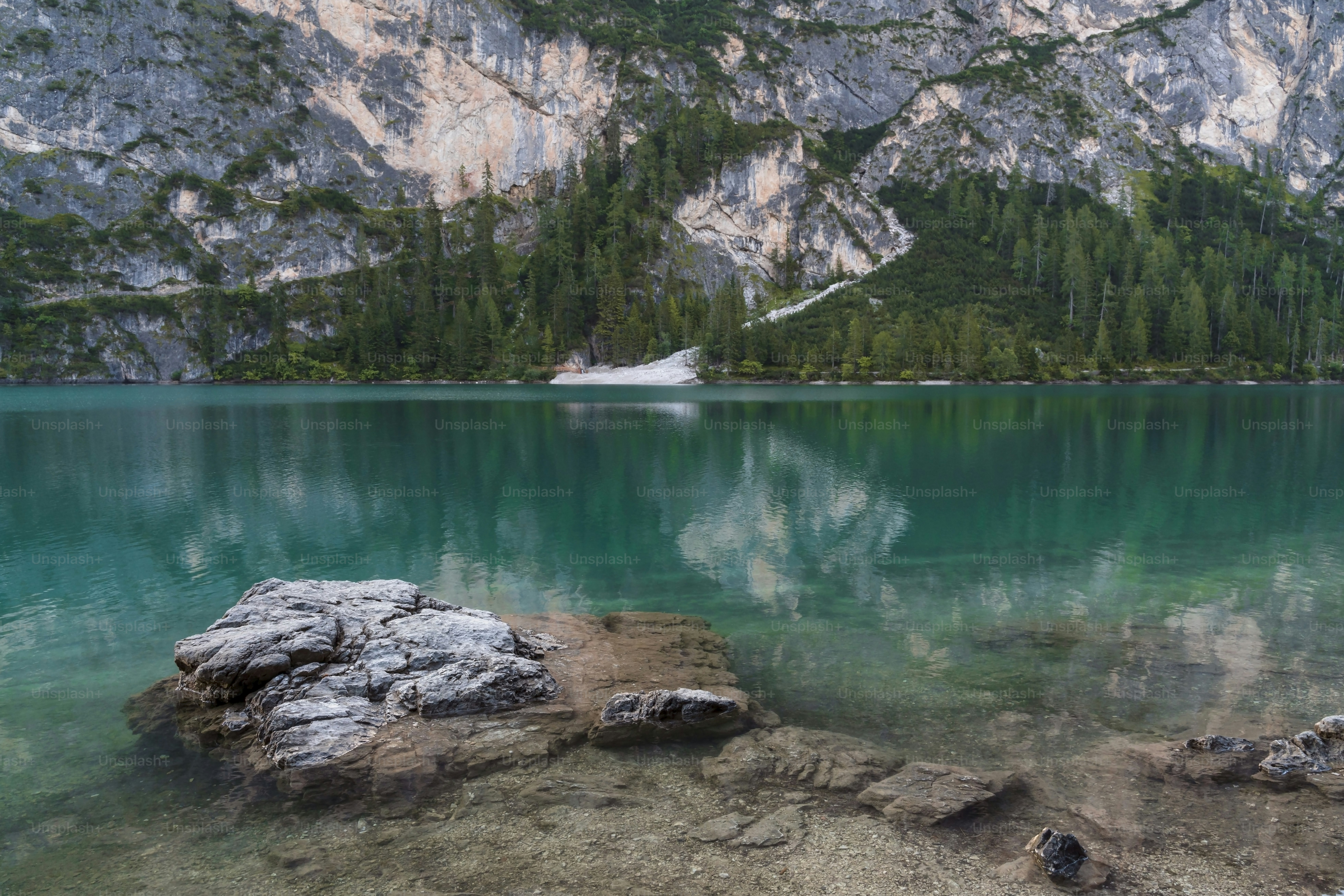 500+ Beautiful Scenery Pictures | Download Free Images on Unsplash