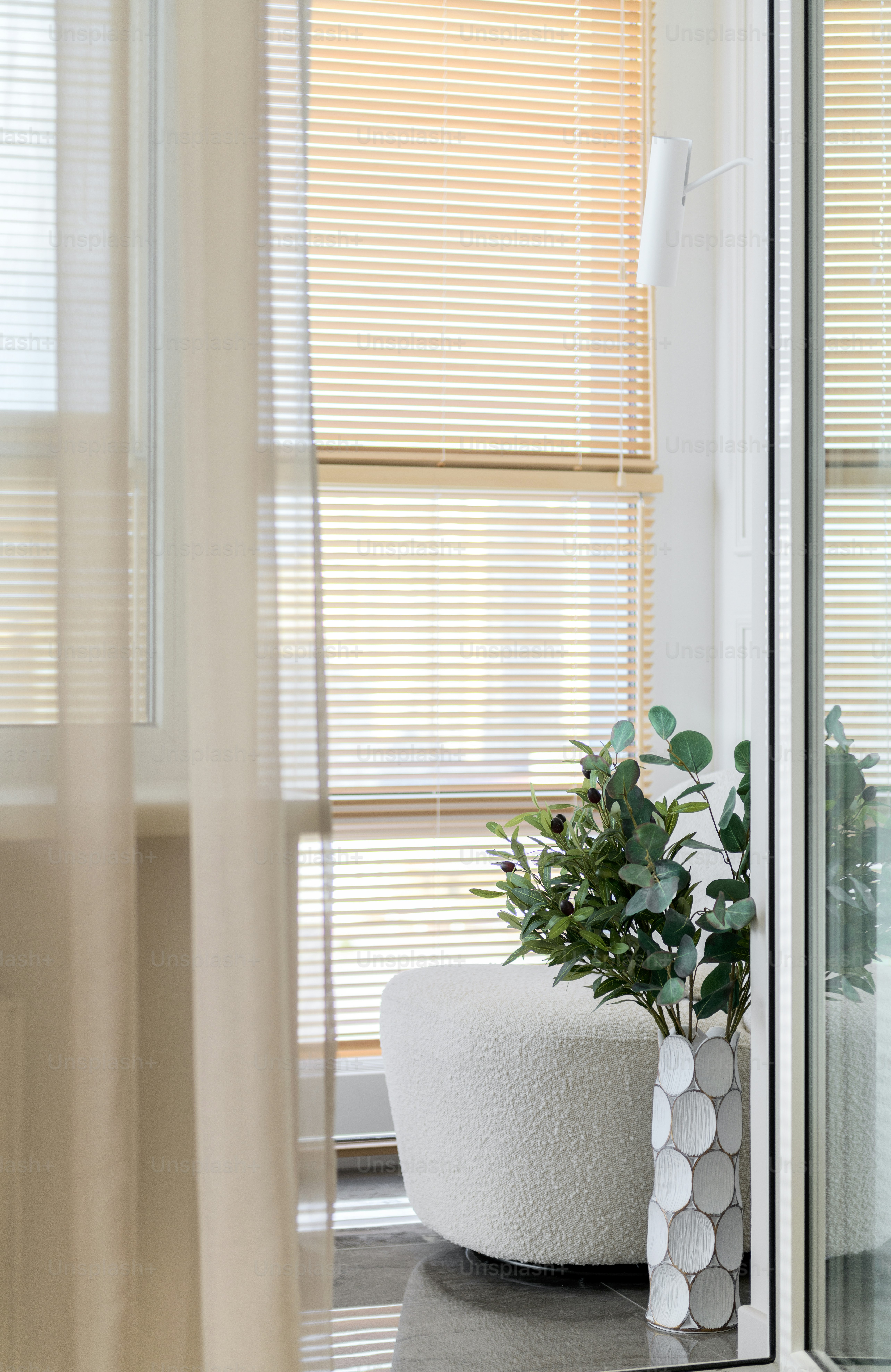 Une plante en pot assise sur une table à côté d’une fenêtre photo – La ...