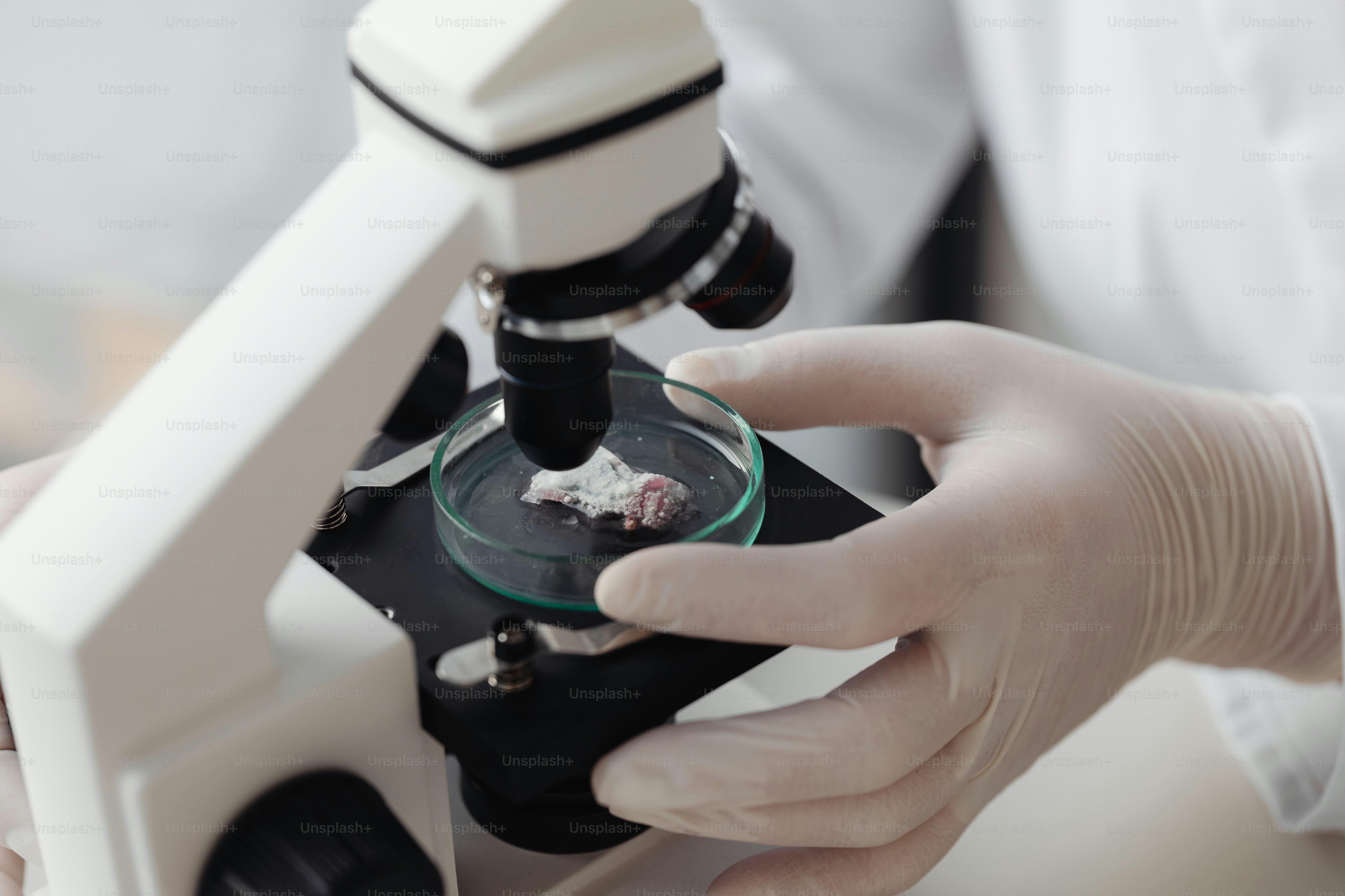 A person in white gloves holding a microscope photo – Microscope Image ...