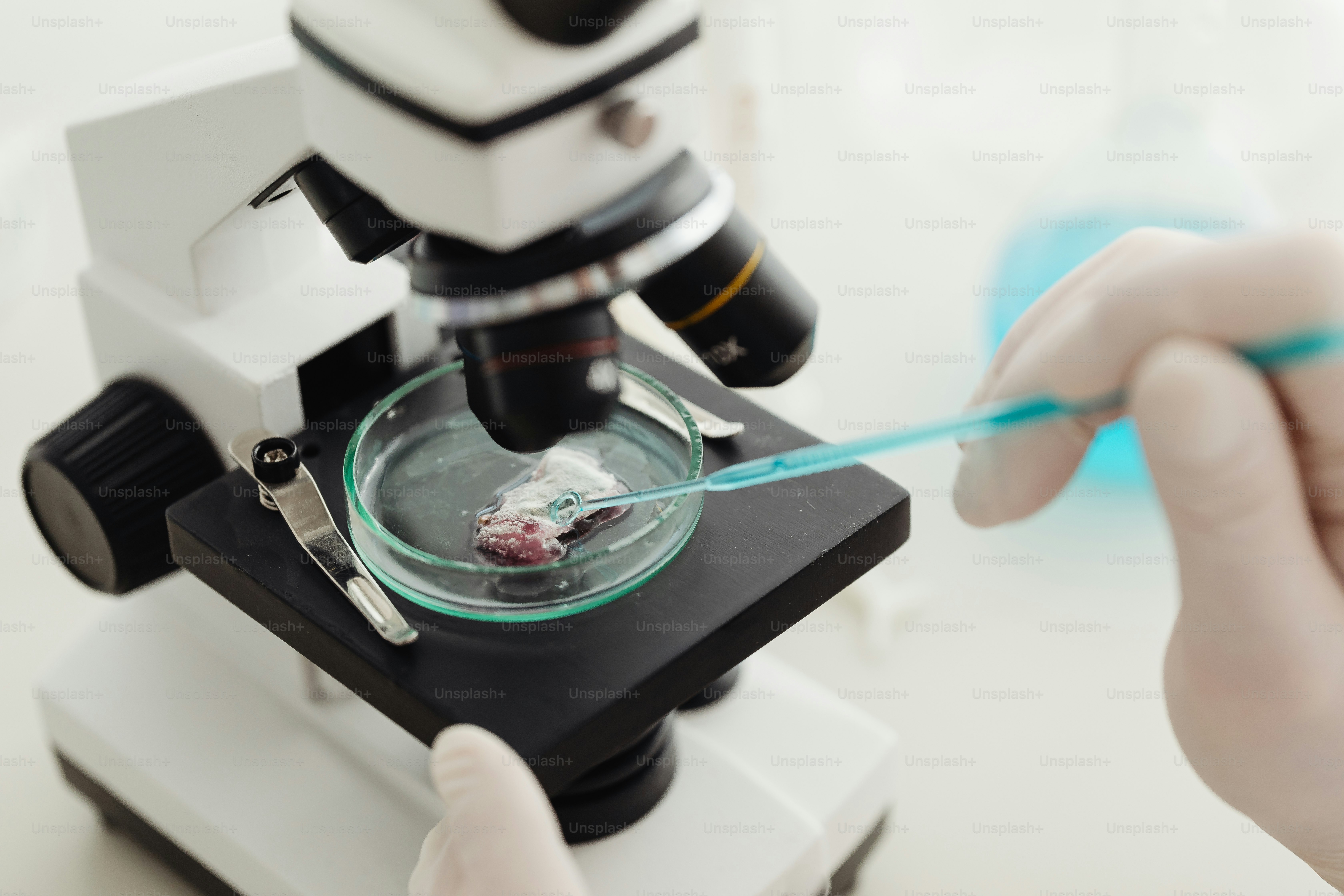A person in a lab coat is using a microscope to examine something photo ...
