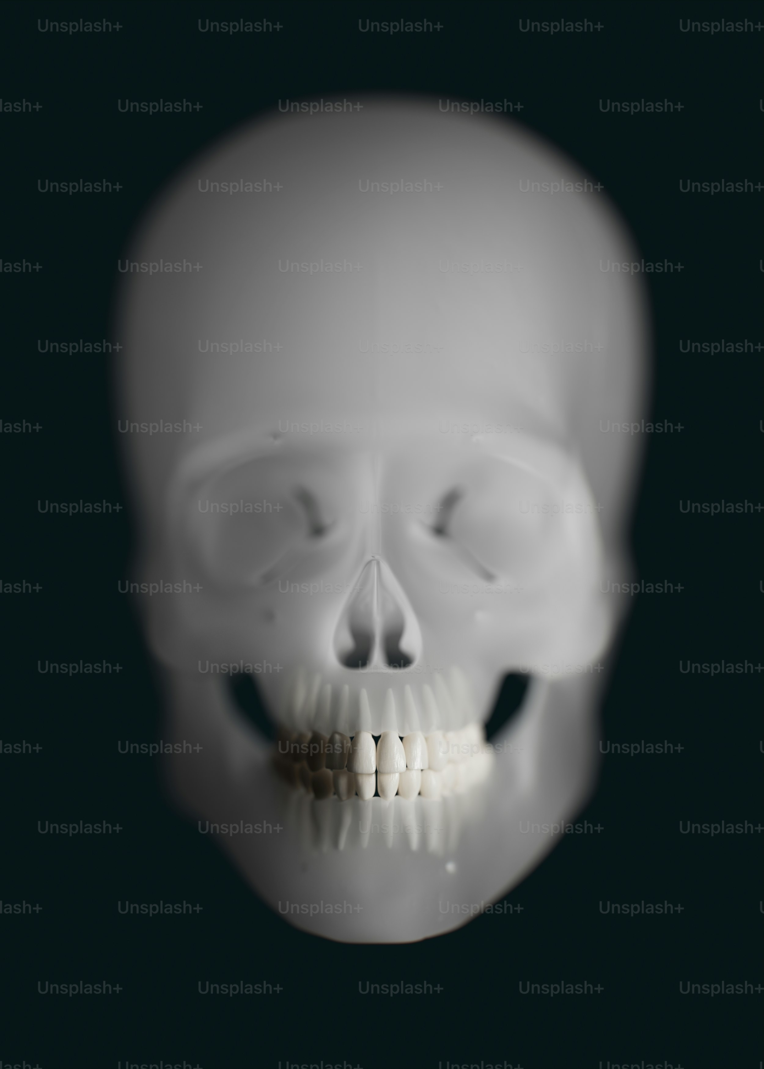 A human skeleton with a very long neck photo – Screensaver Image on ...