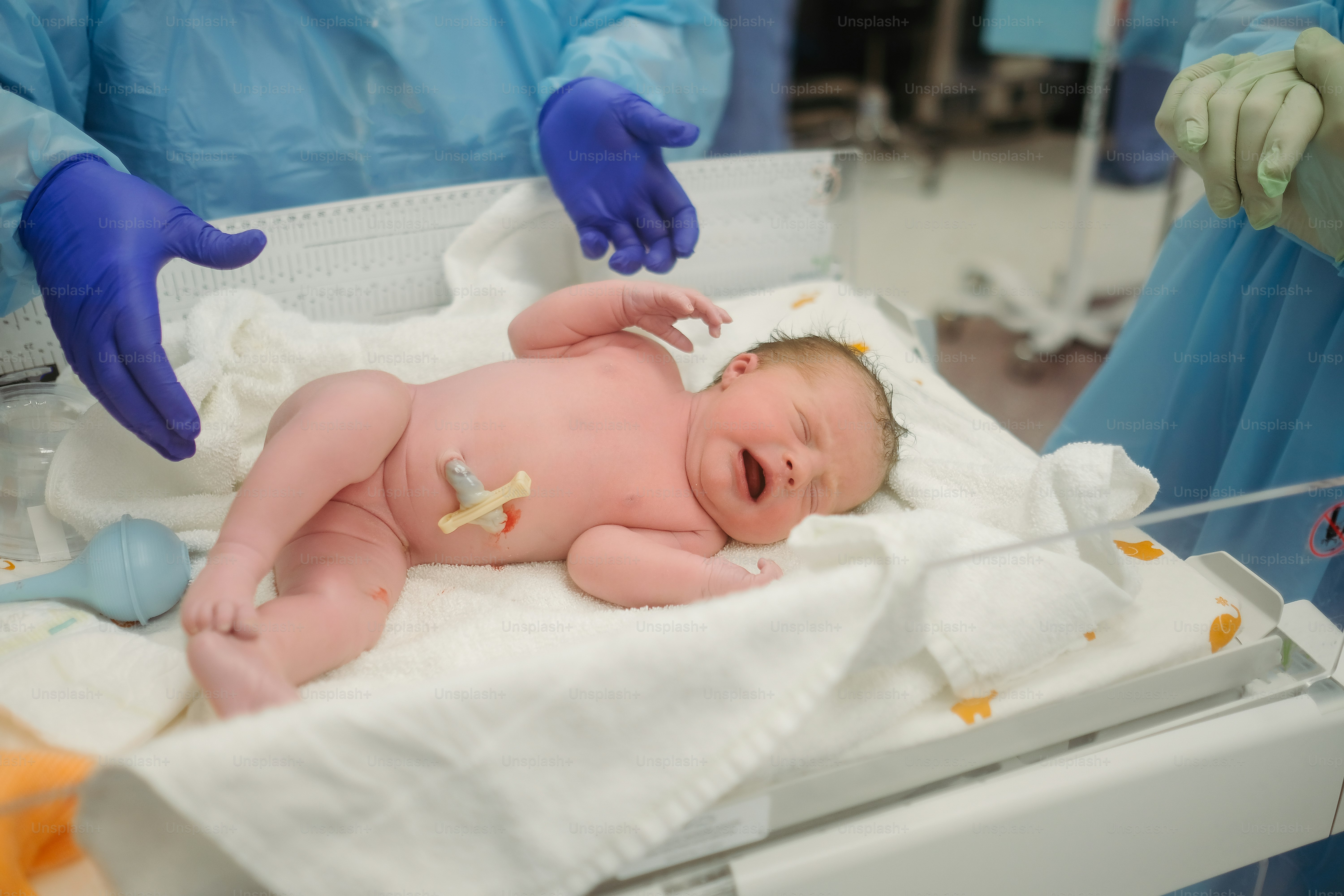 500+ Birth Pictures | Download Free Images on Unsplash