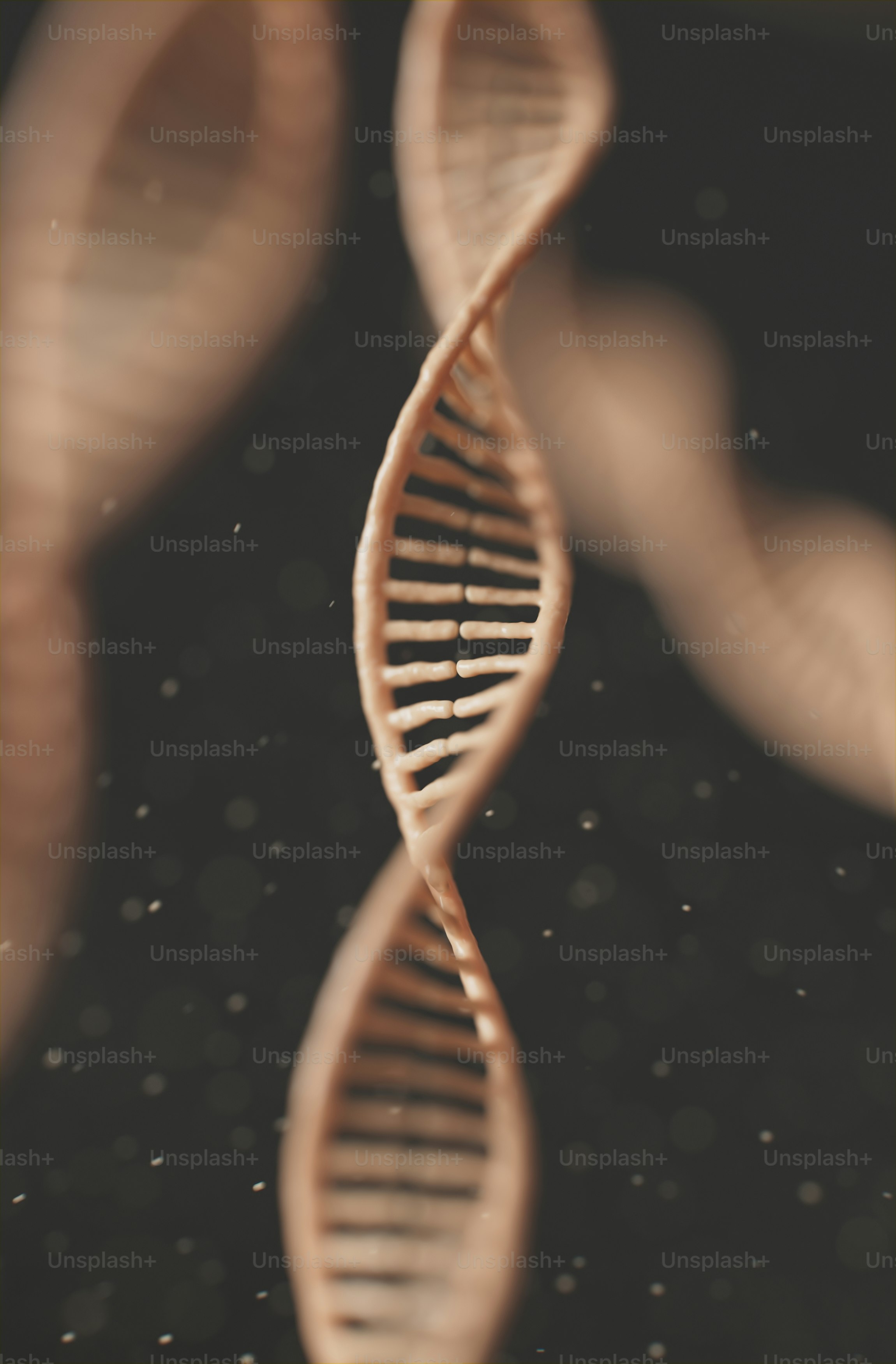 Dna Strand Pictures | Download Free Images on Unsplash