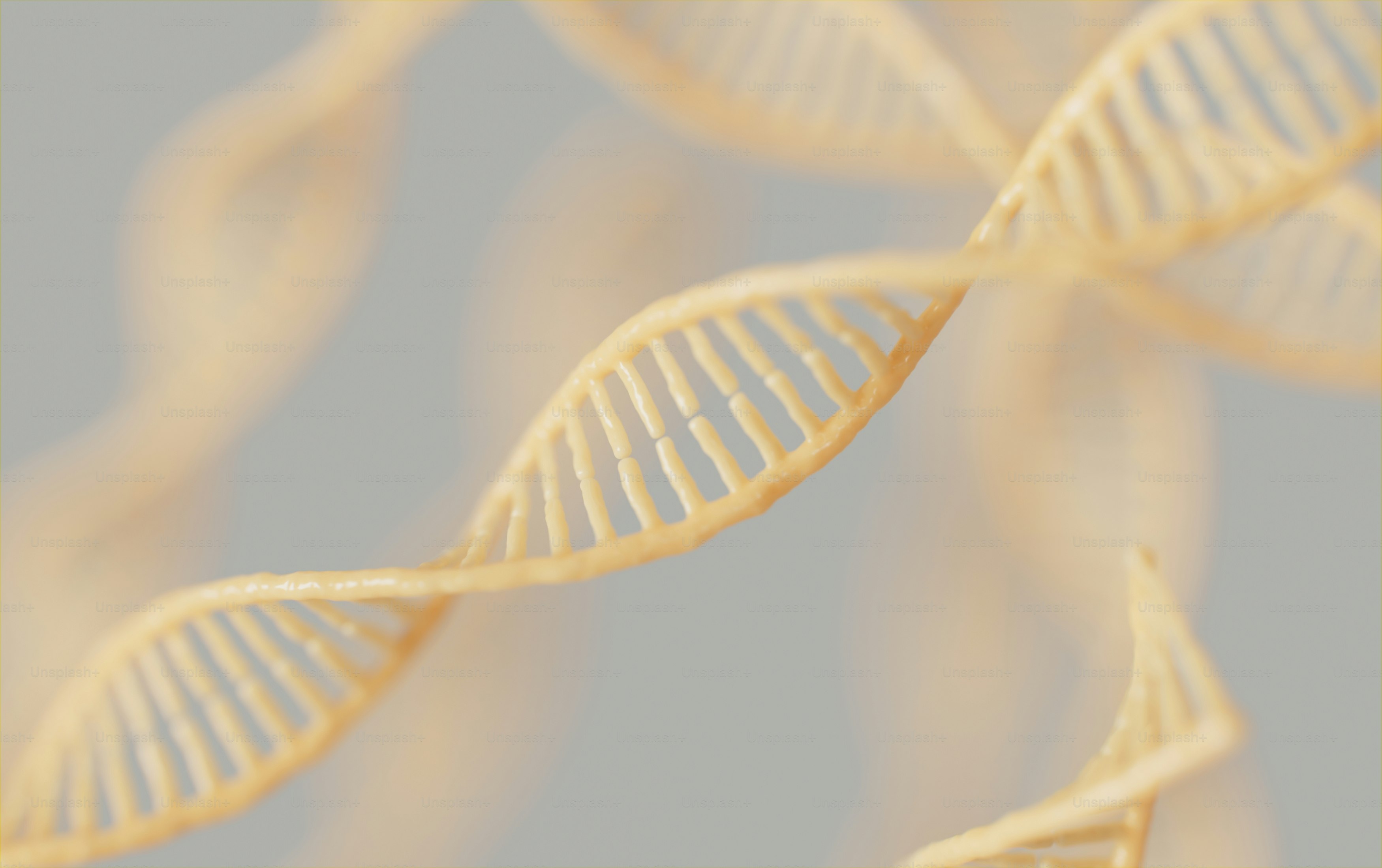 Genome Pictures | Download Free Images on Unsplash