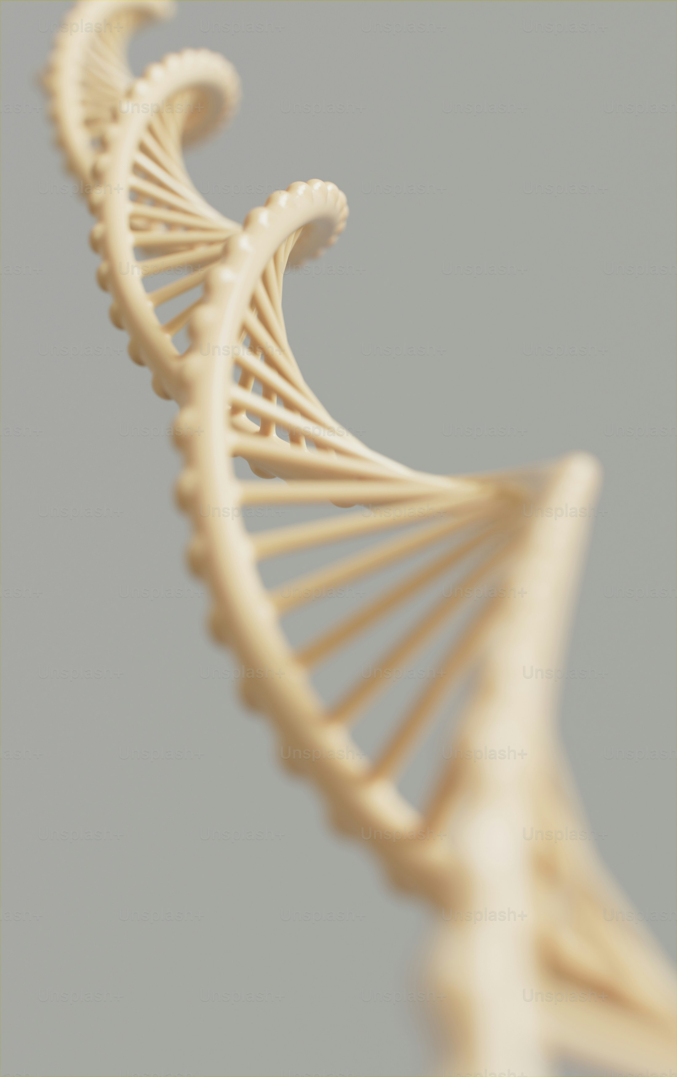 A close up of a double strand of strands photo – Dna Image on Unsplash
