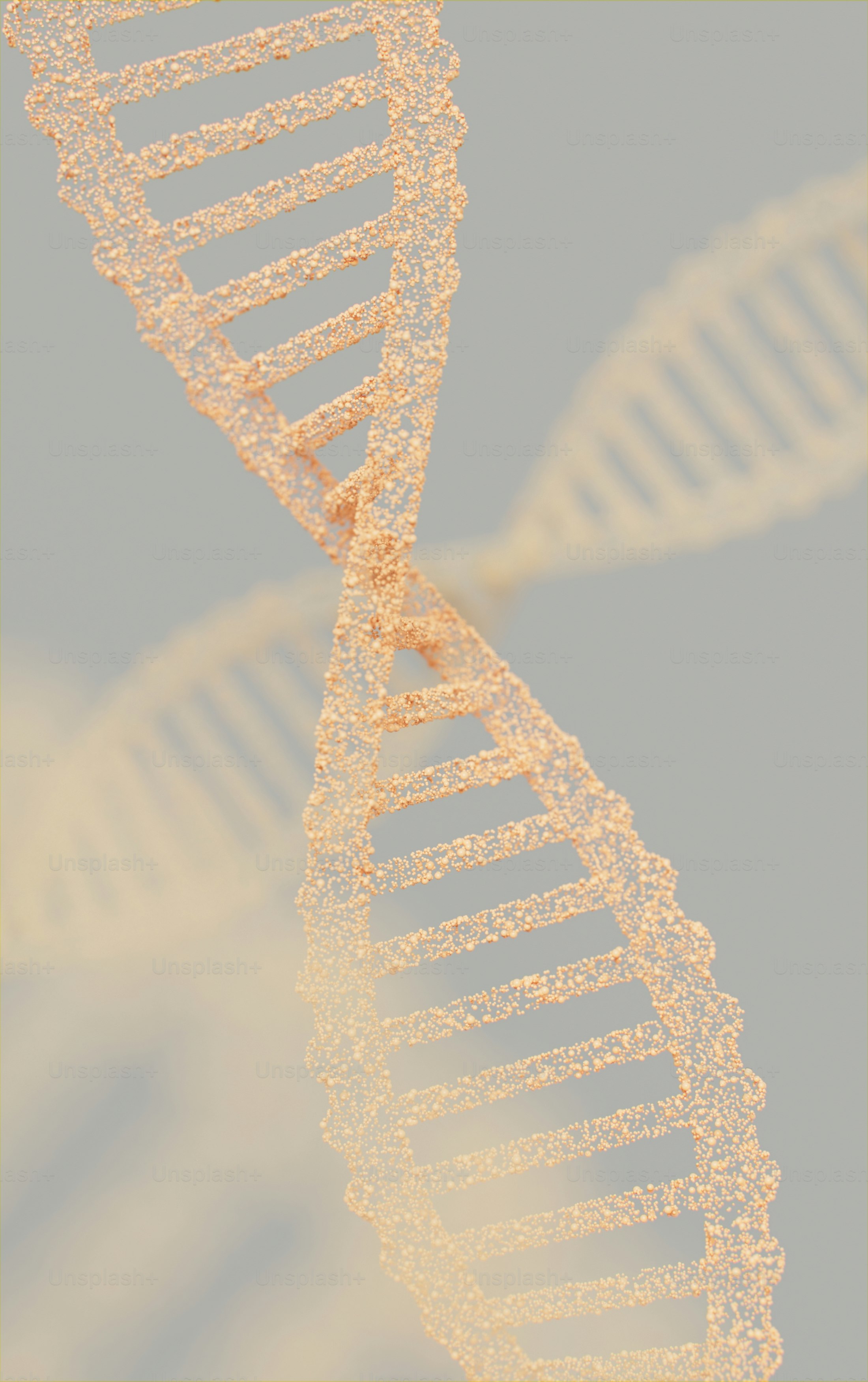 A picture of a double - stranded green and blue object photo – Dna ...
