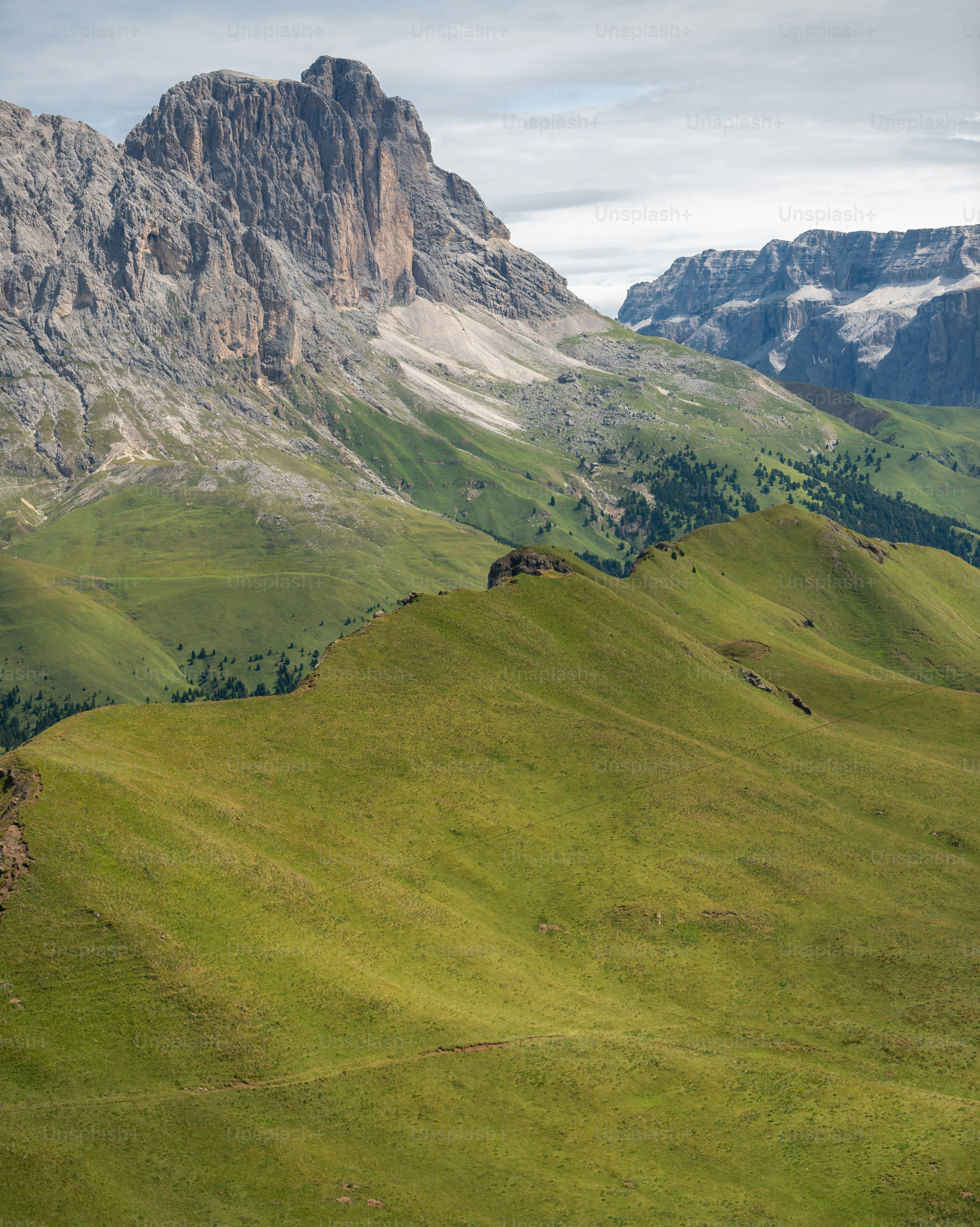 Una manada de animales pastando en una exuberante ladera verde foto ...