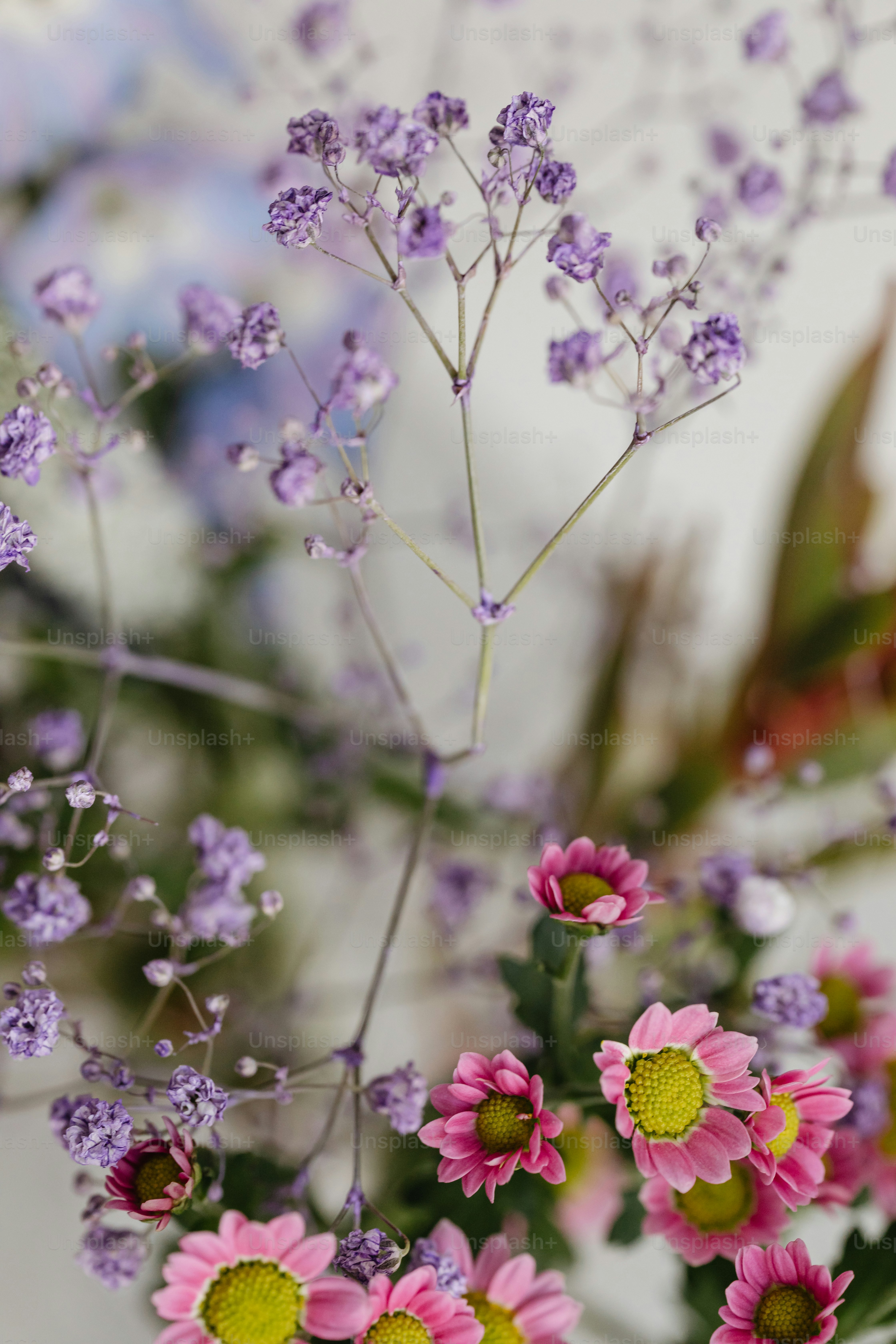 A vase filled with flowers on top of a table photo – Full hd wallpaper ...