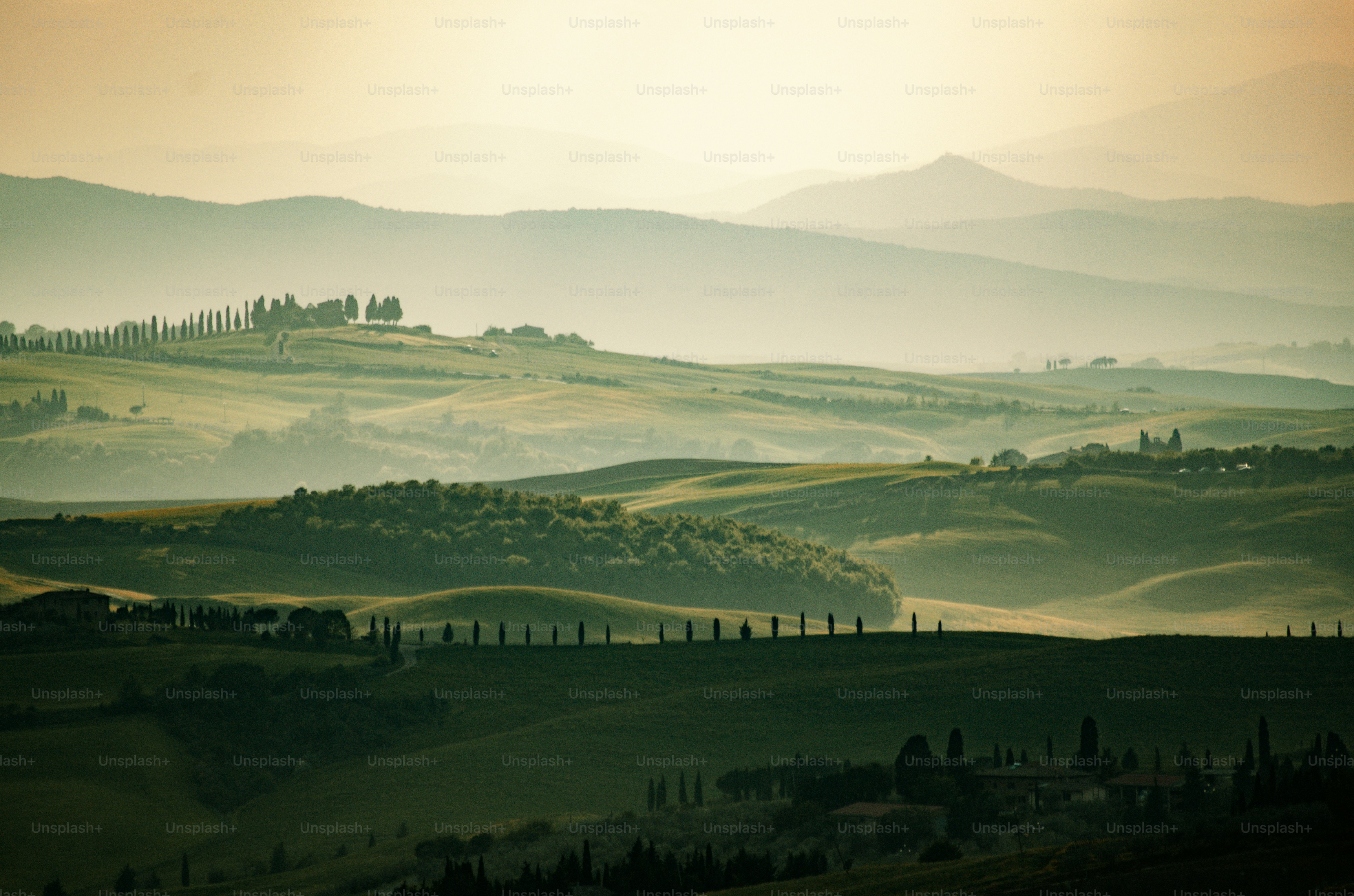 Une vue de collines avec des arbres au premier plan photo – Image de Toscane sur Unsplash