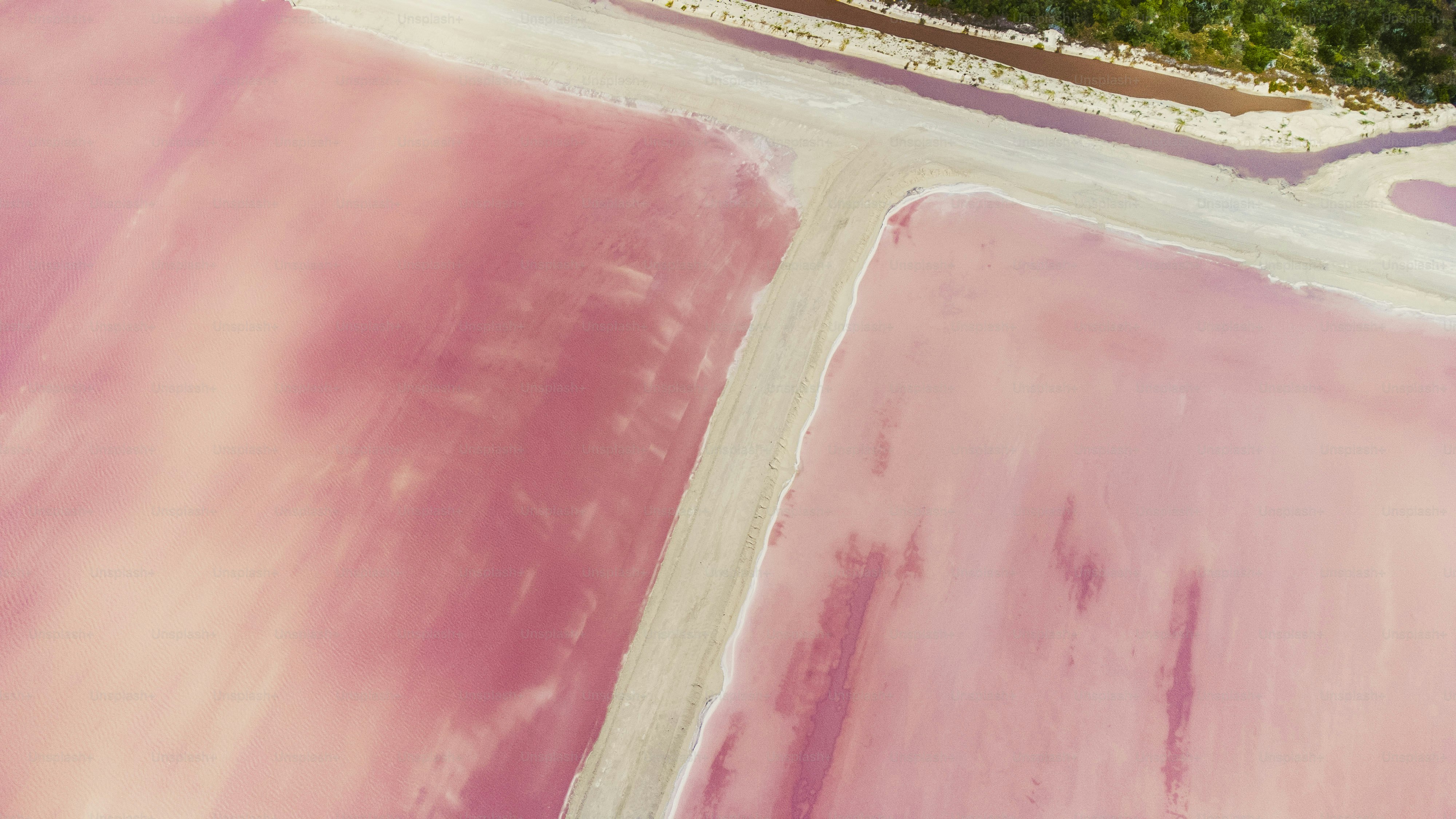 An aerial view of a pink field with trees in the background photo ...