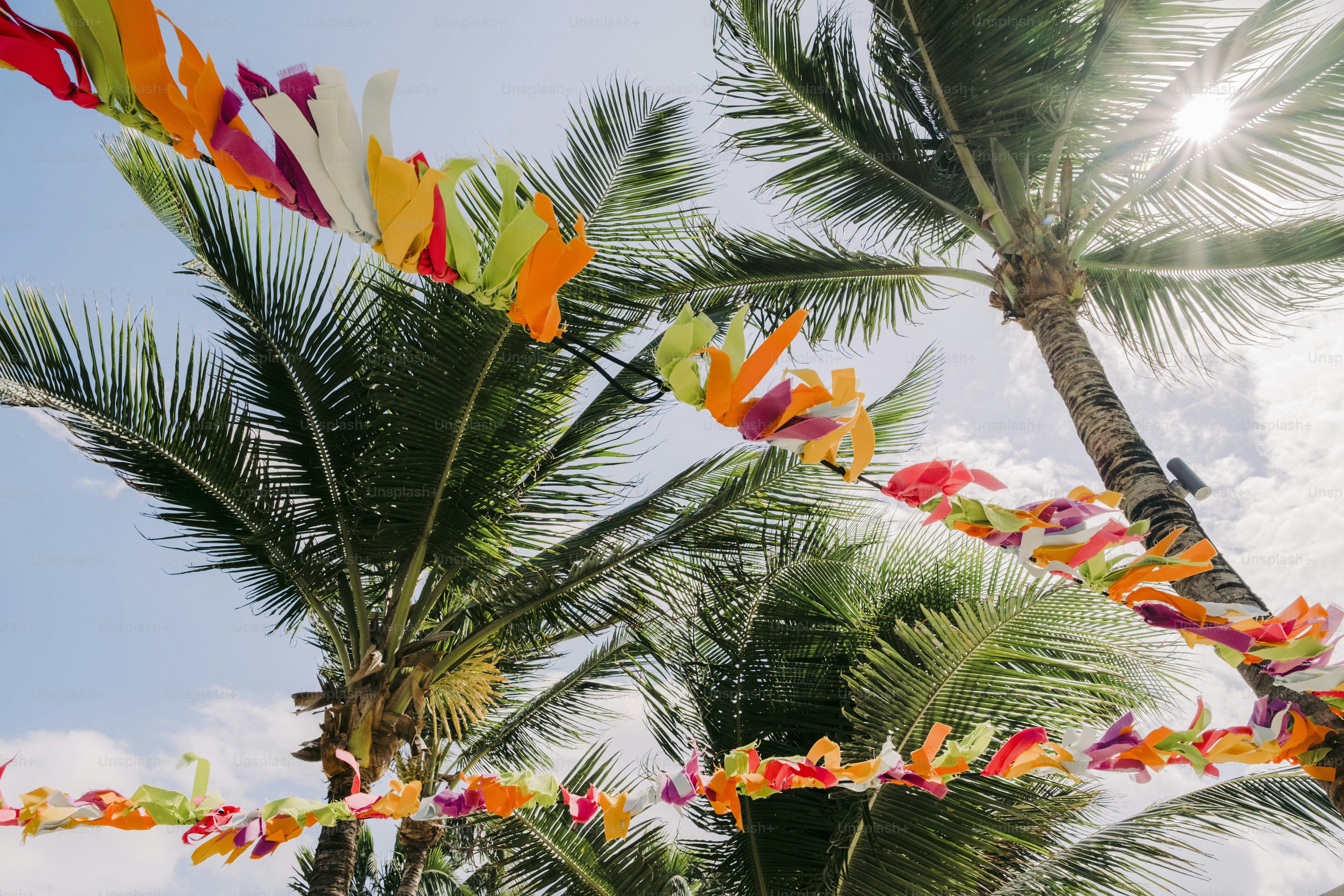 A bunch of colorful streamers hanging from a palm tree photo – Beach ...