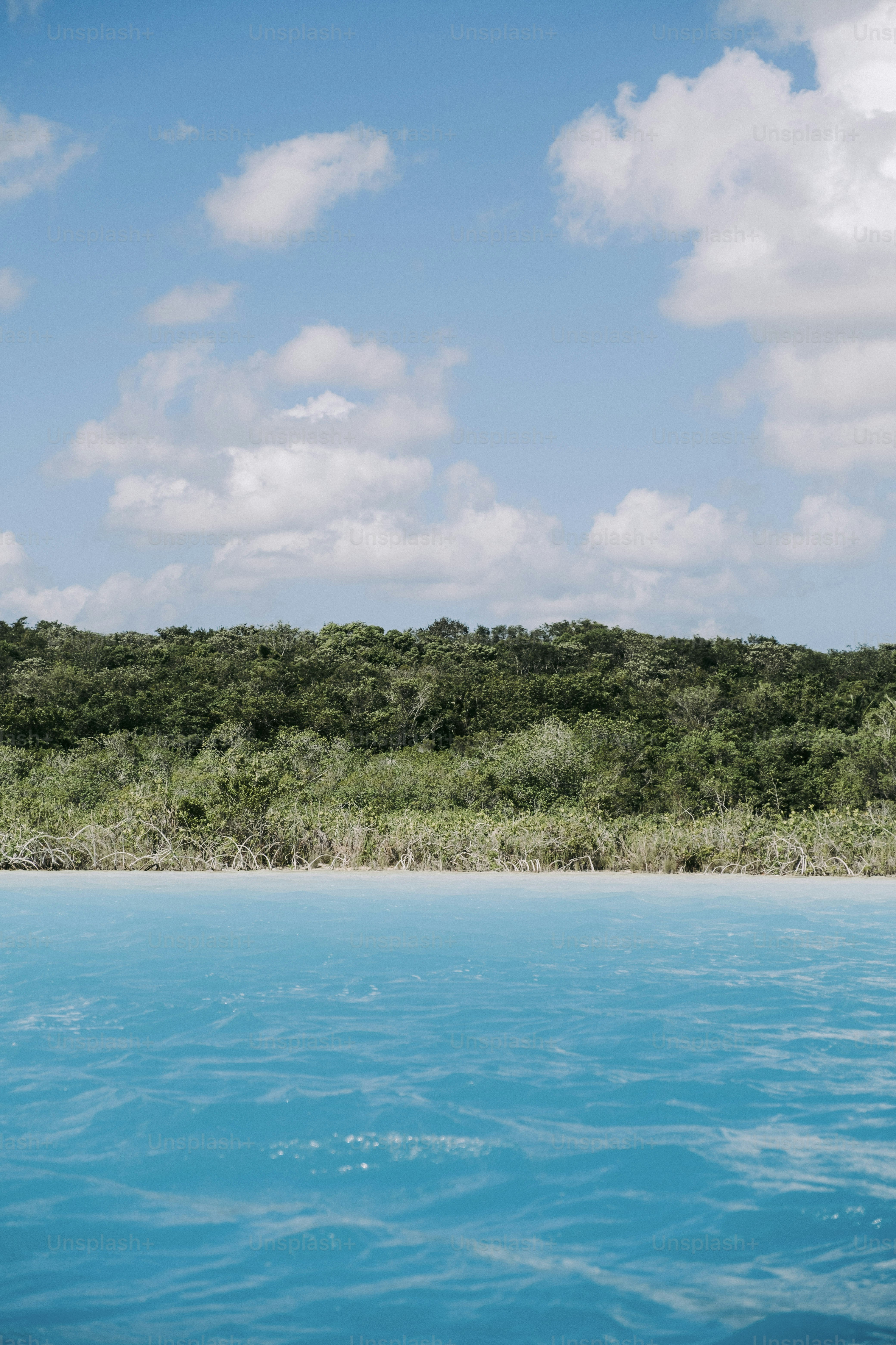 A body of water with trees in the background photo – Spring break Image ...