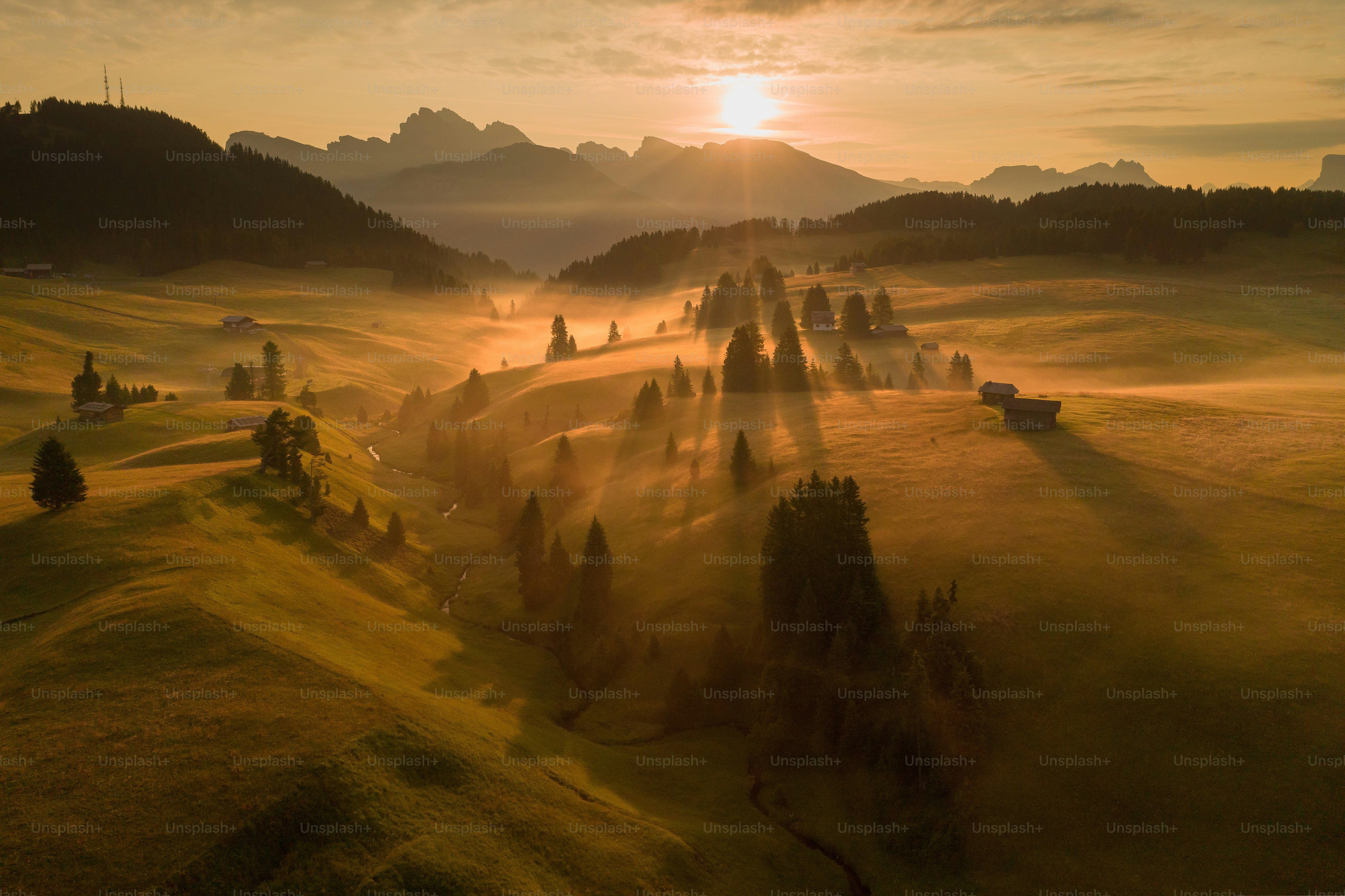 The sun is setting over a valley with trees in the foreground photo ...