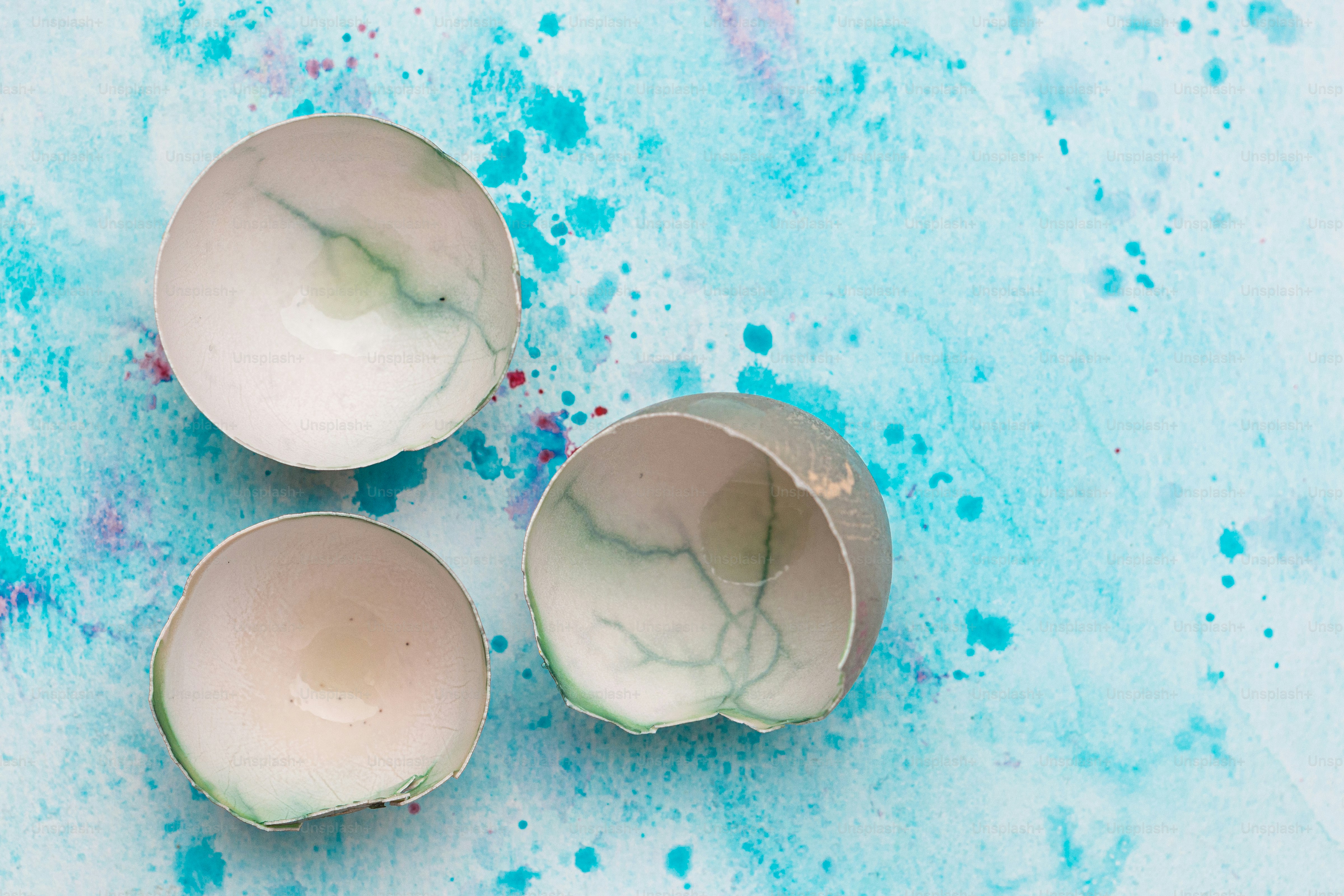 Egg Shells Pictures | Download Free Images on Unsplash