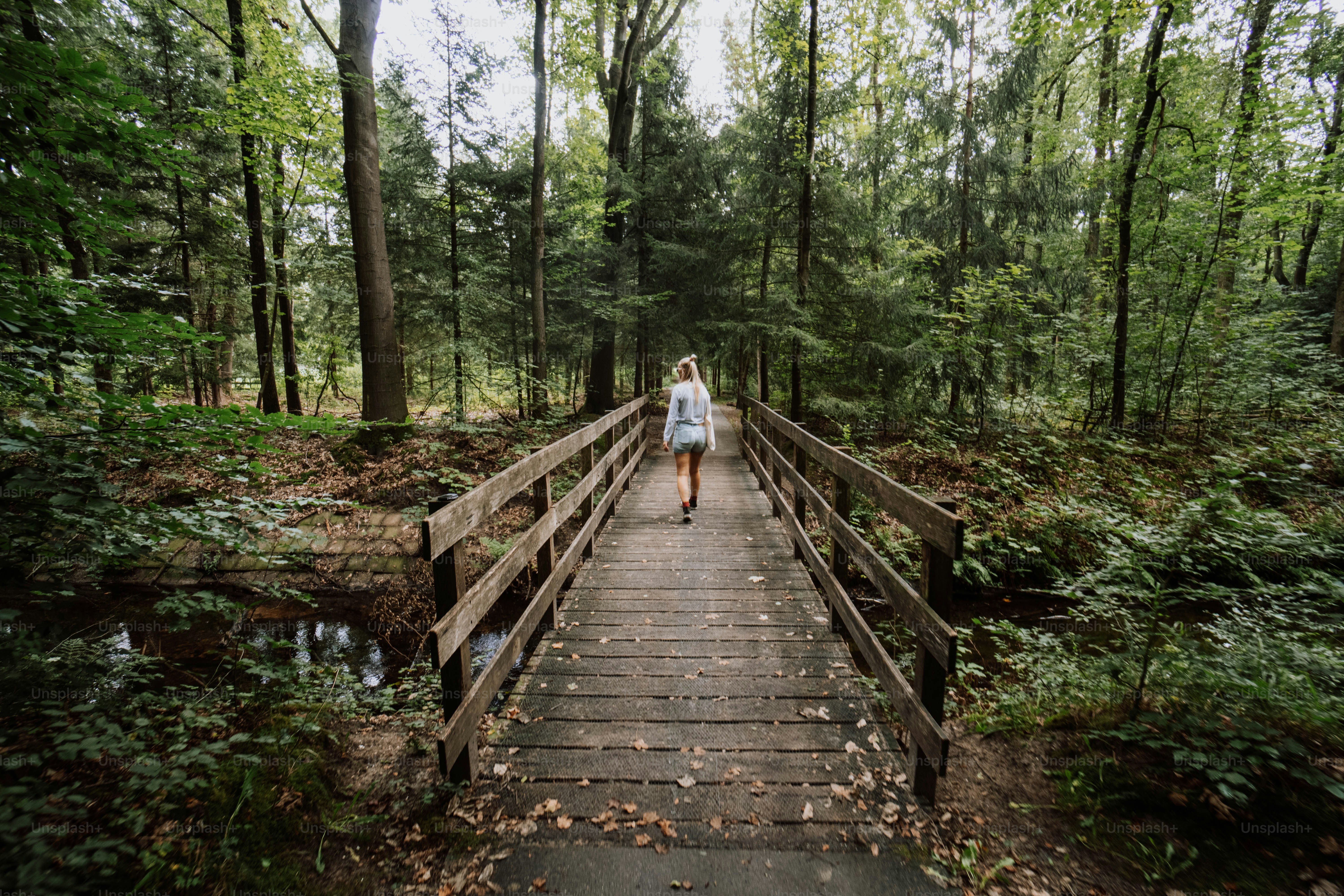 A woman walking across a wooden bridge in a forest photo – Hiking Image ...
