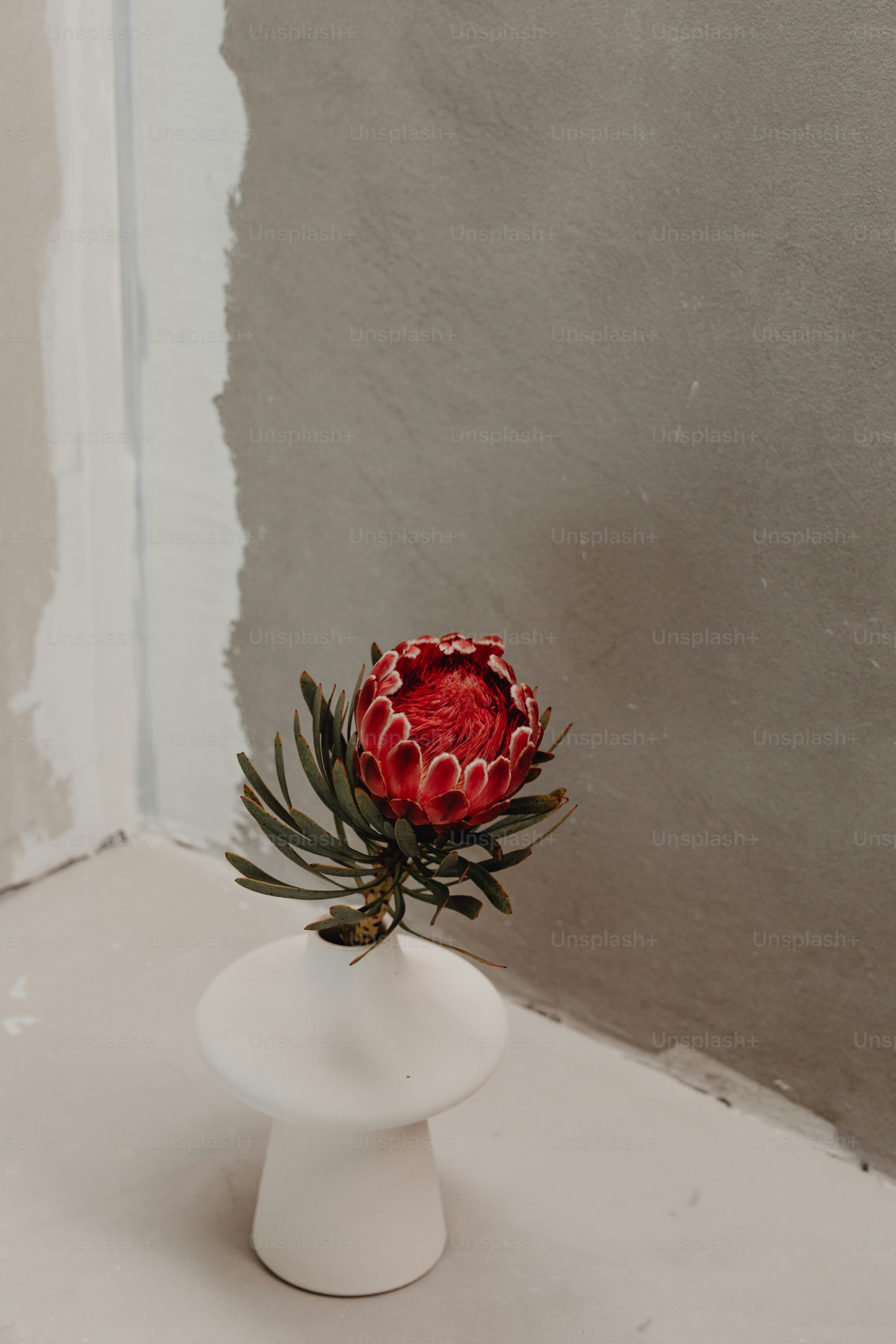 Gambar Wallpaper Bunga Desktop | Unduh Gambar Gratis di Unsplash