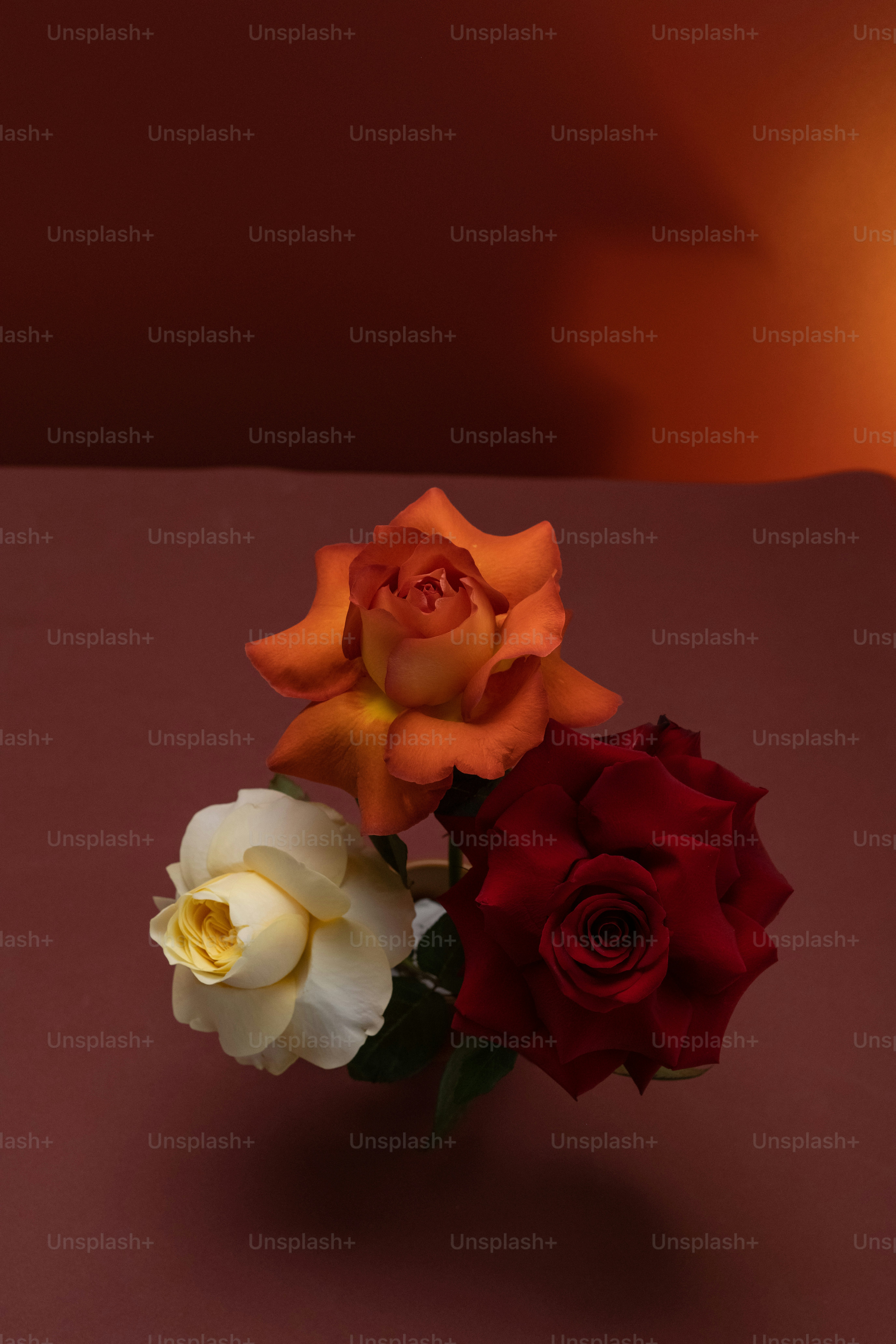 Three roses in a vase on a table photo – Floral display Image on Unsplash