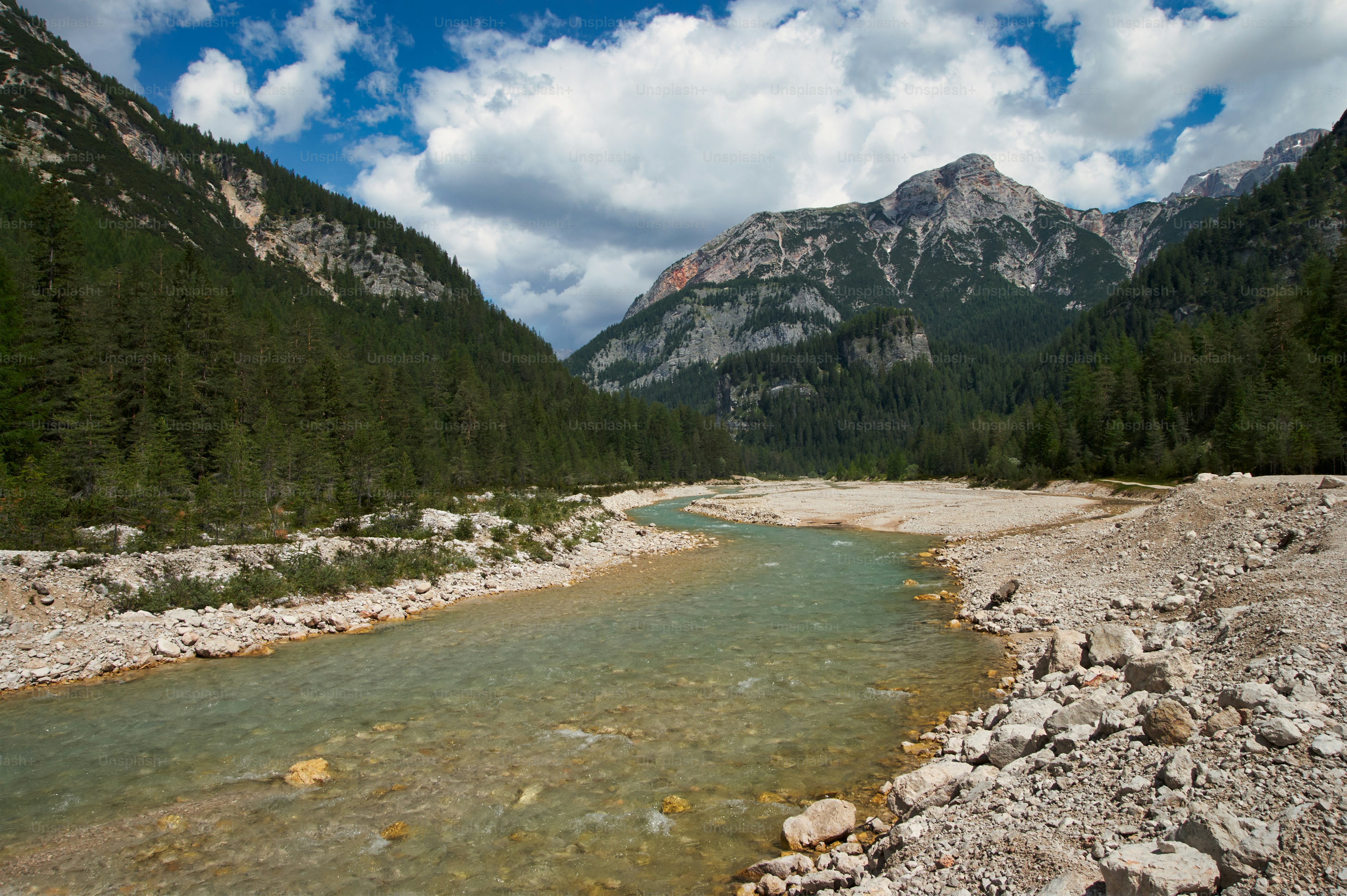 Un fiume che attraversa una lussureggiante foresta verde foto ...