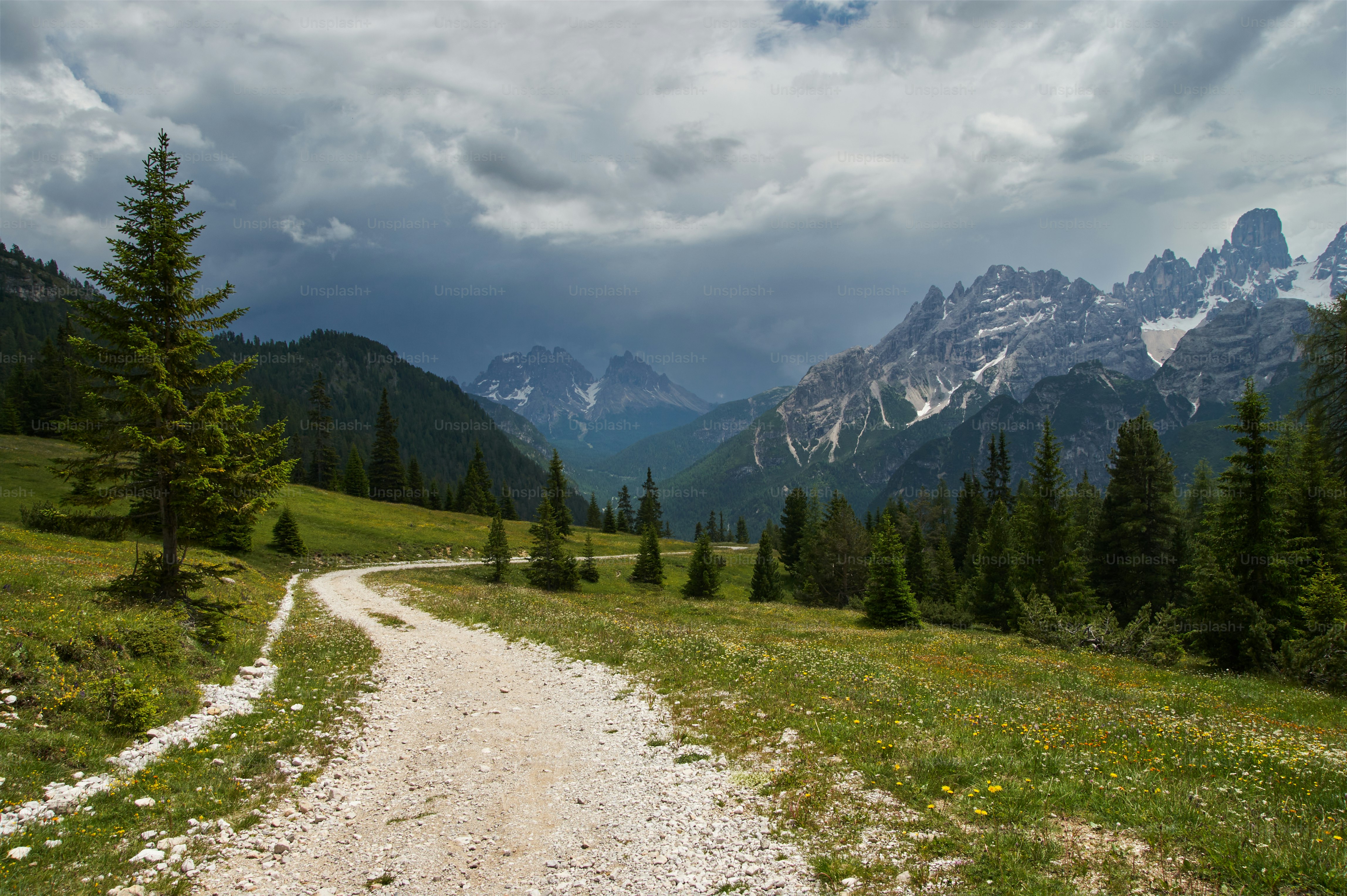 Un fiume che attraversa una lussureggiante foresta verde foto ...