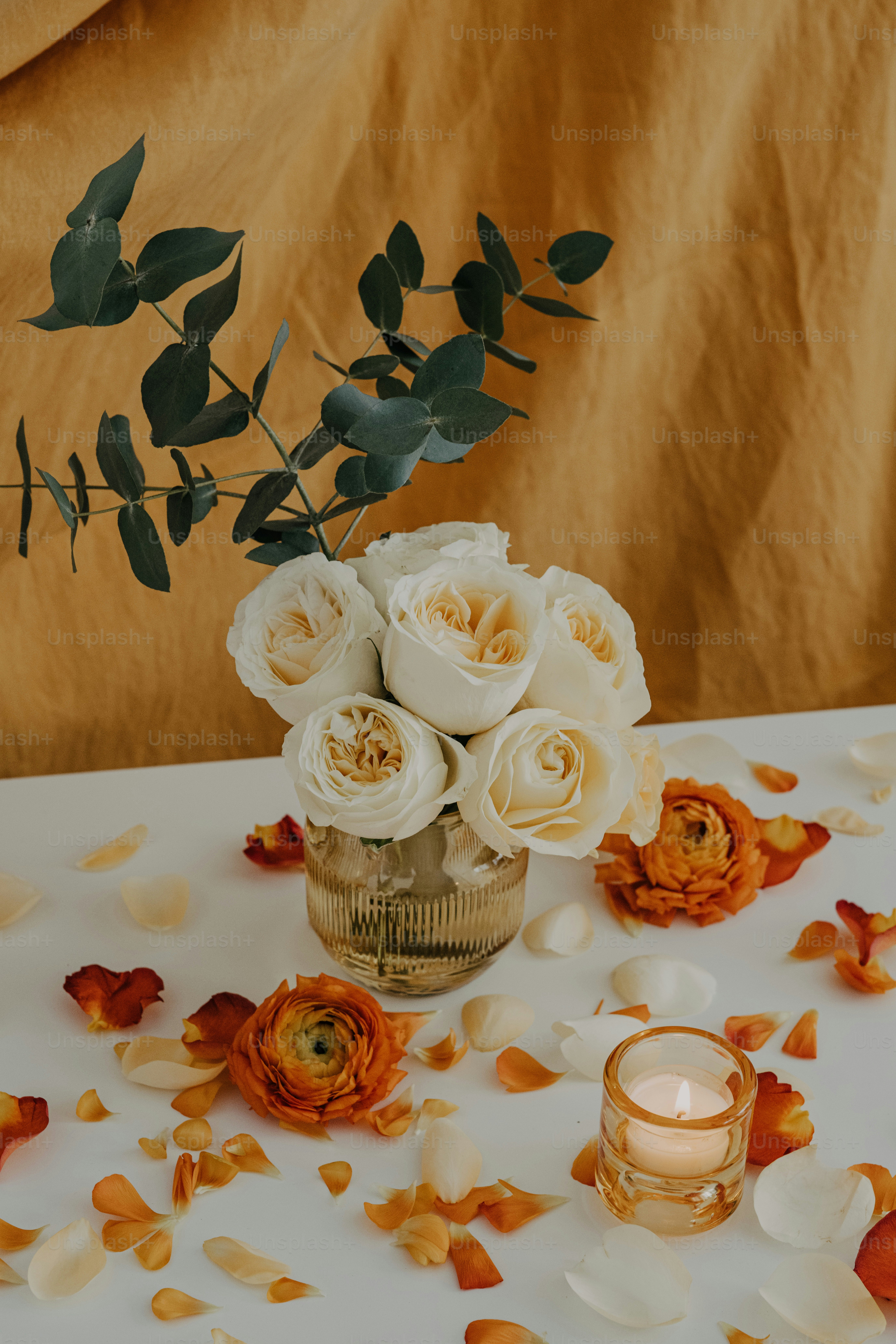 Wallpaper Rose Pictures | Download Free Images on Unsplash