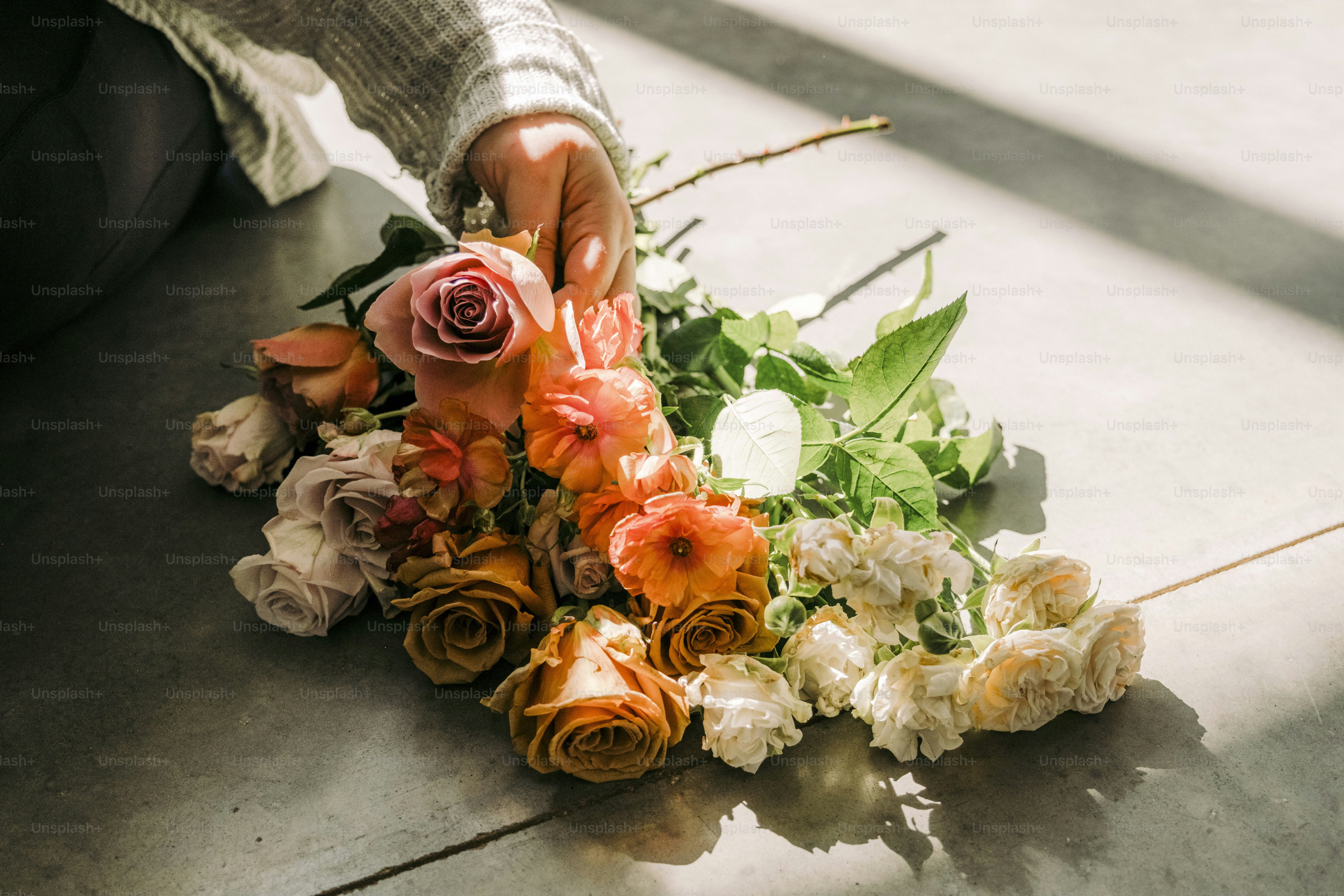 A person is arranging flowers on the floor photo – Bouquet Image on ...
