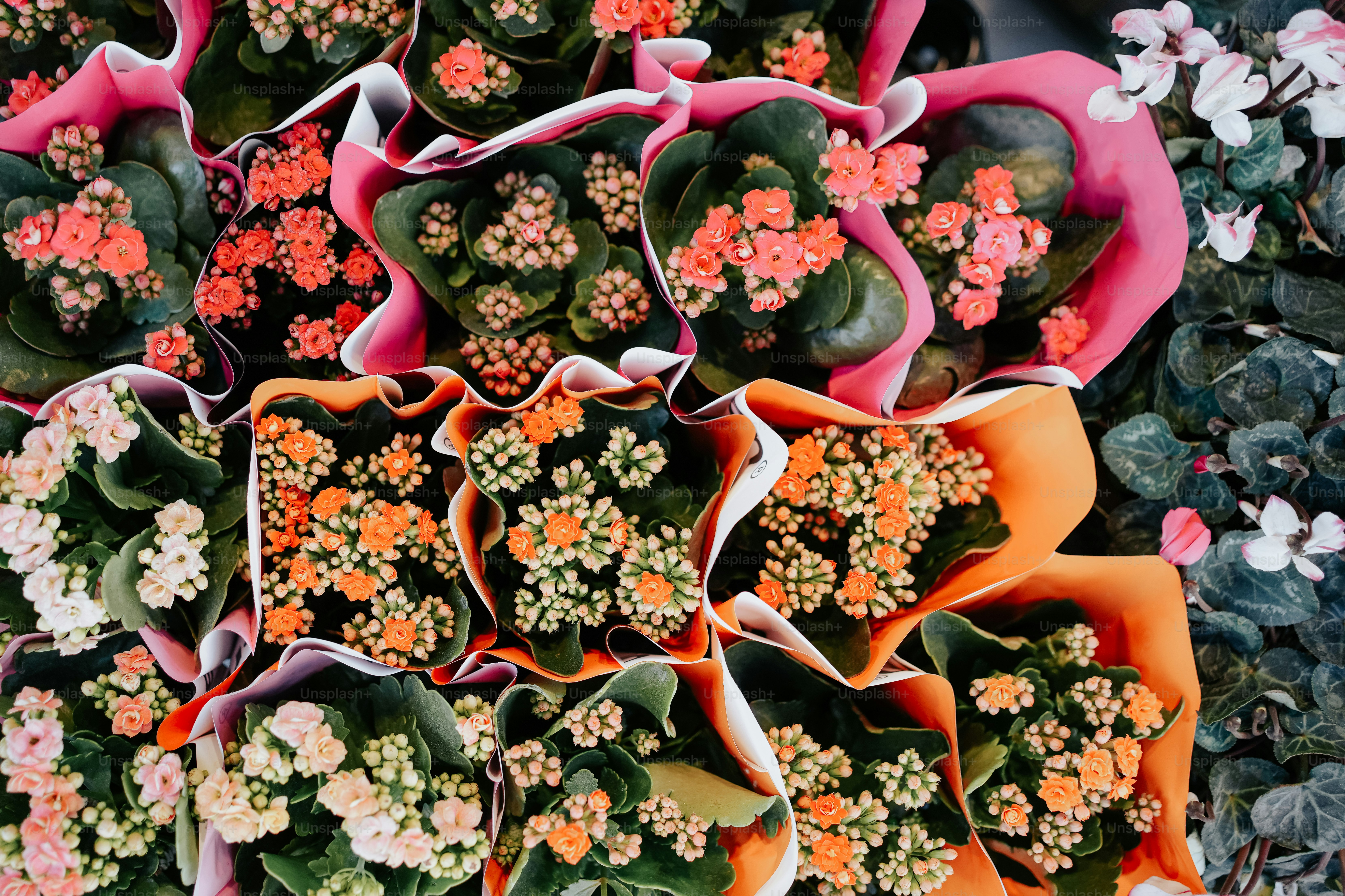 Un bouquet de fleurs qui sont dans une sorte de pot photo – Bouquet de ...