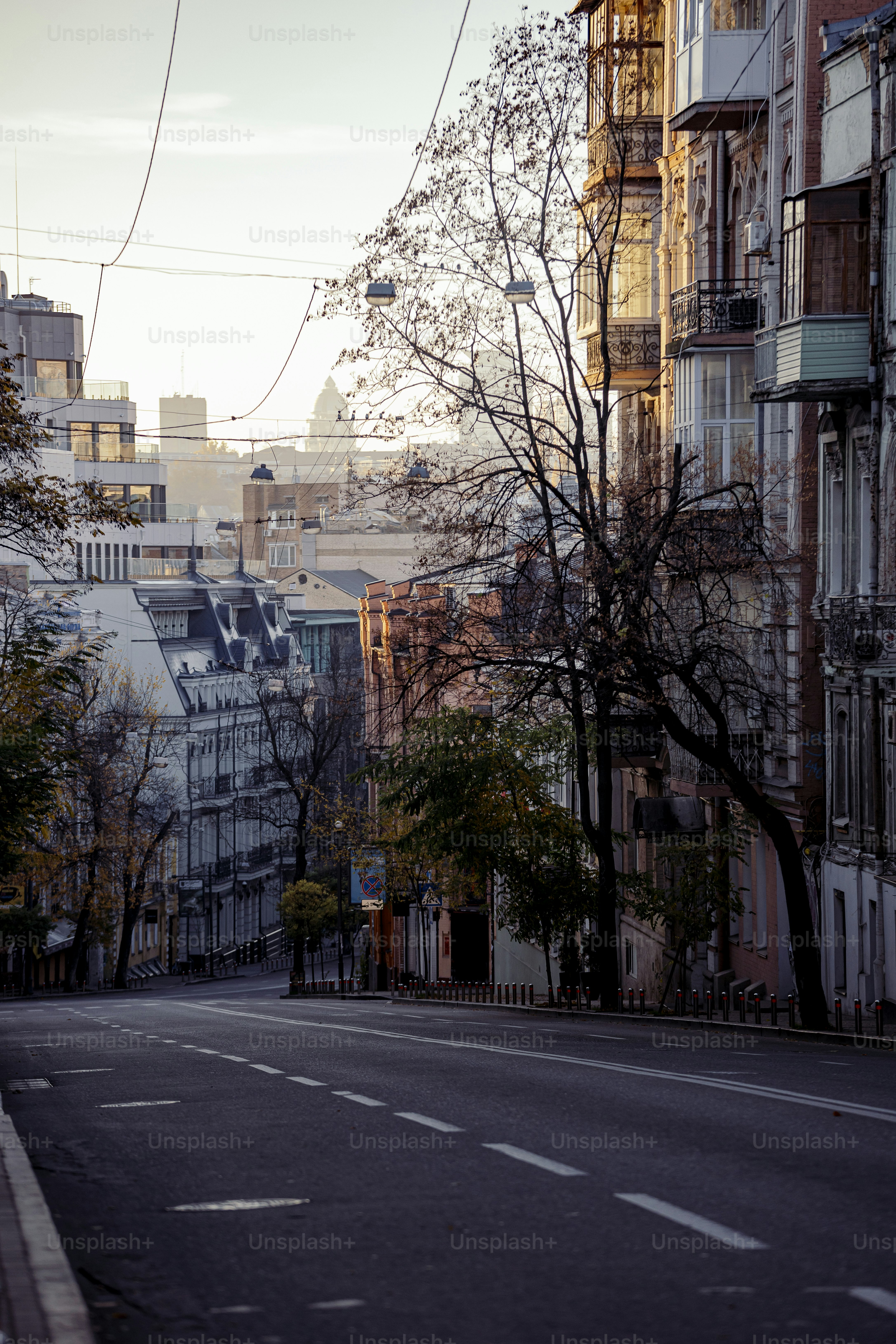 Road Street Pictures | Download Free Images on Unsplash