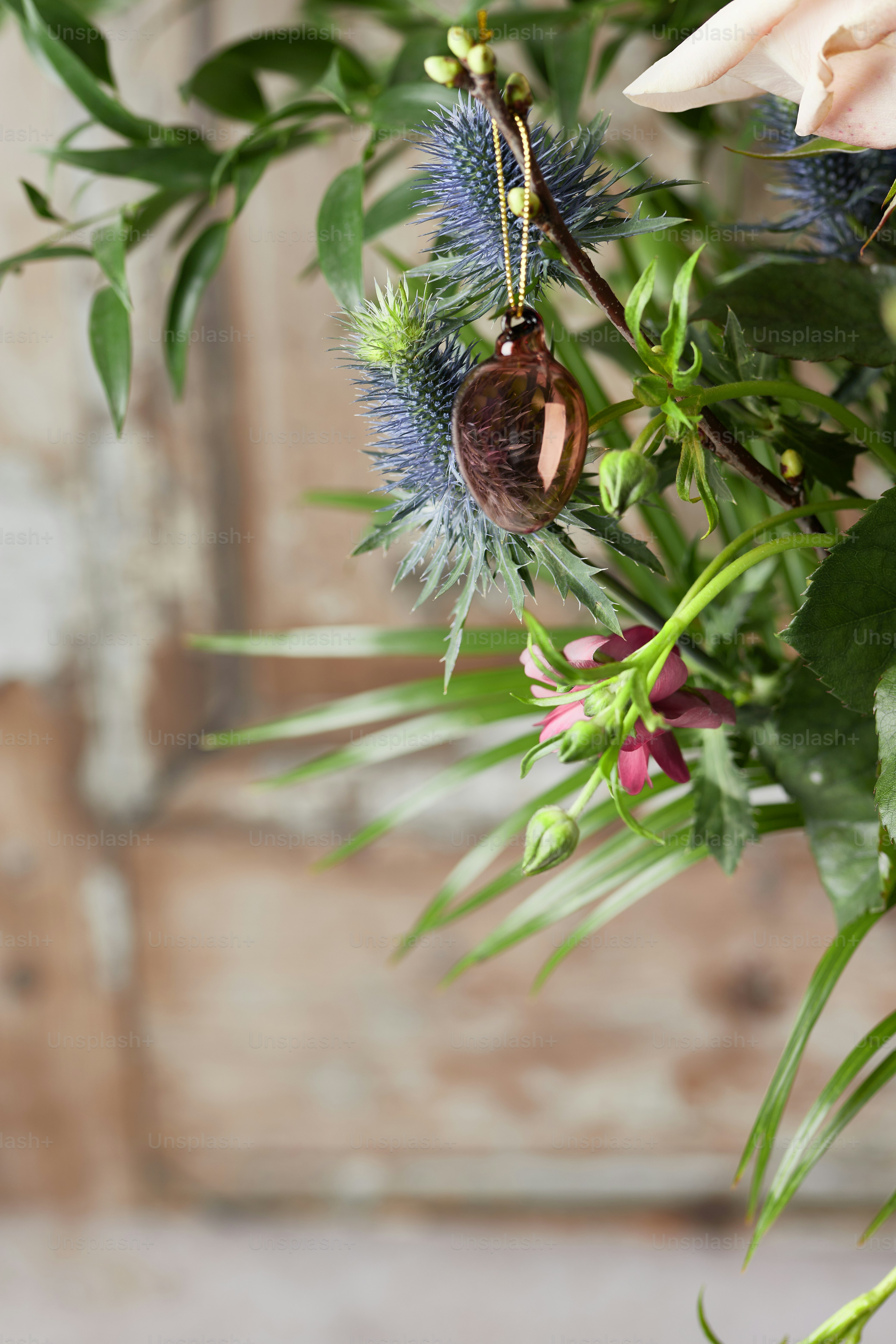 Foto Un ramo de flores colgando de una rama – Flores de Pascua Imagen ...