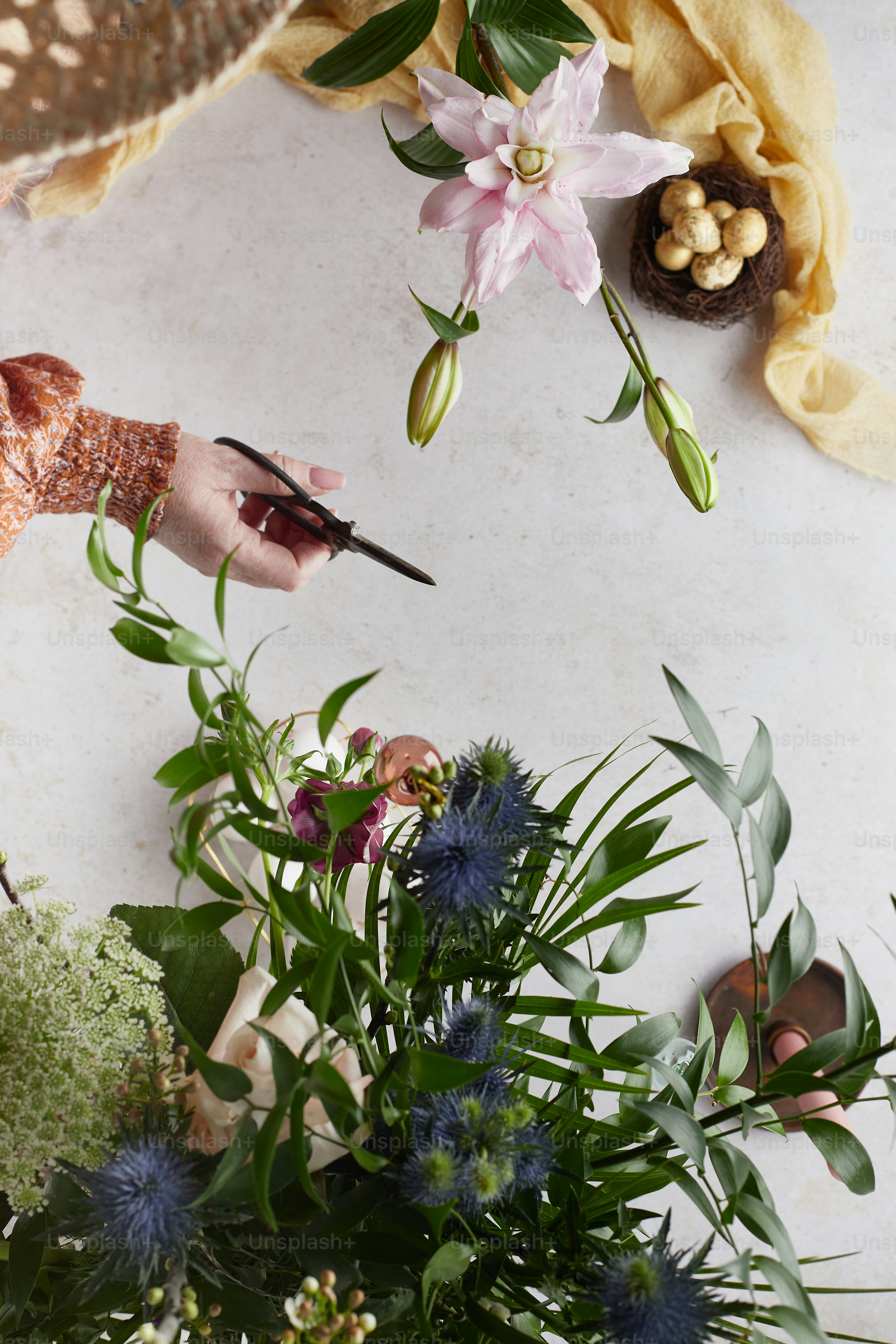 A person cutting flowers with scissors on a table photo – Easter ...