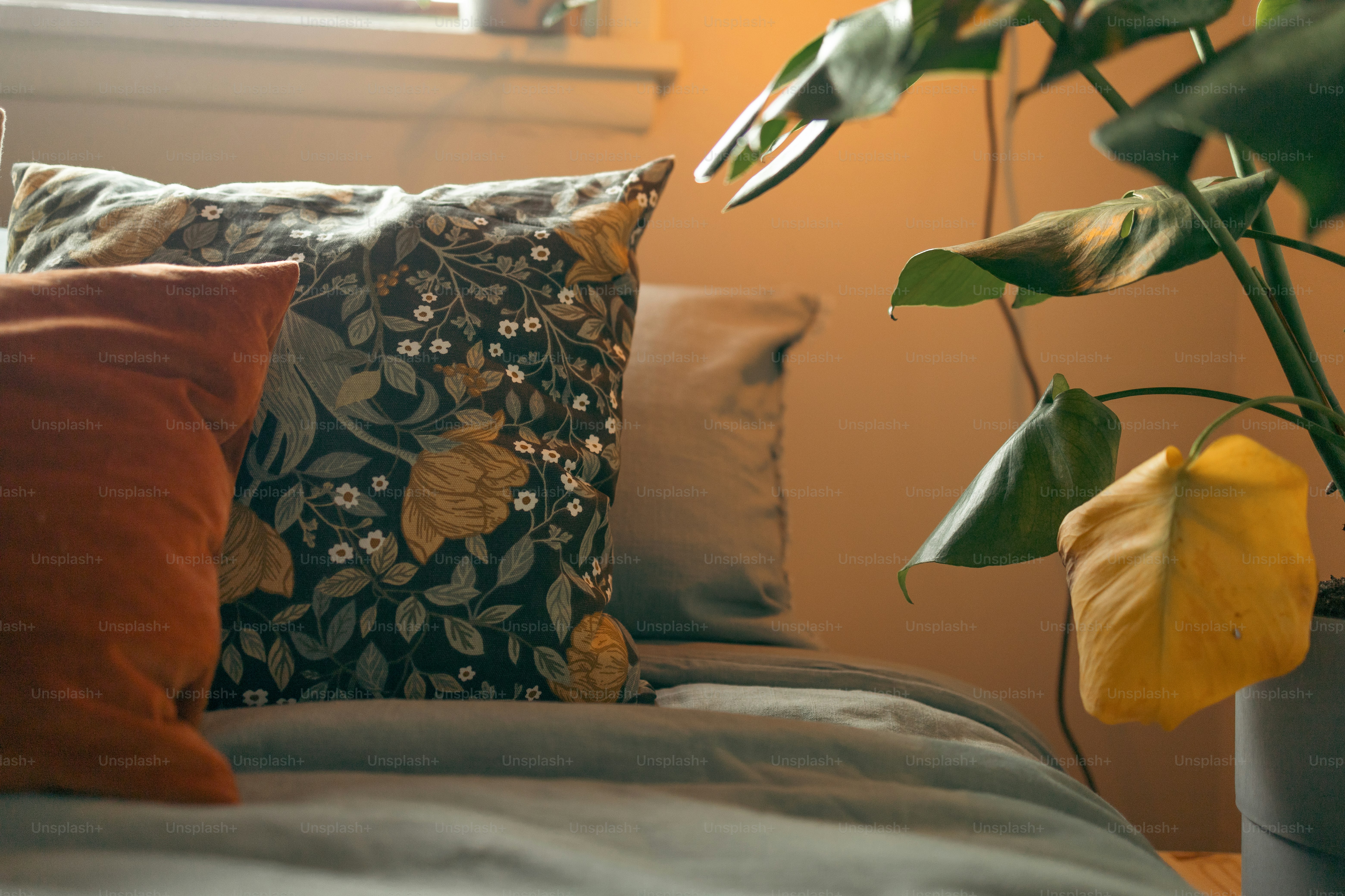 Cushions Pictures | Download Free Images on Unsplash