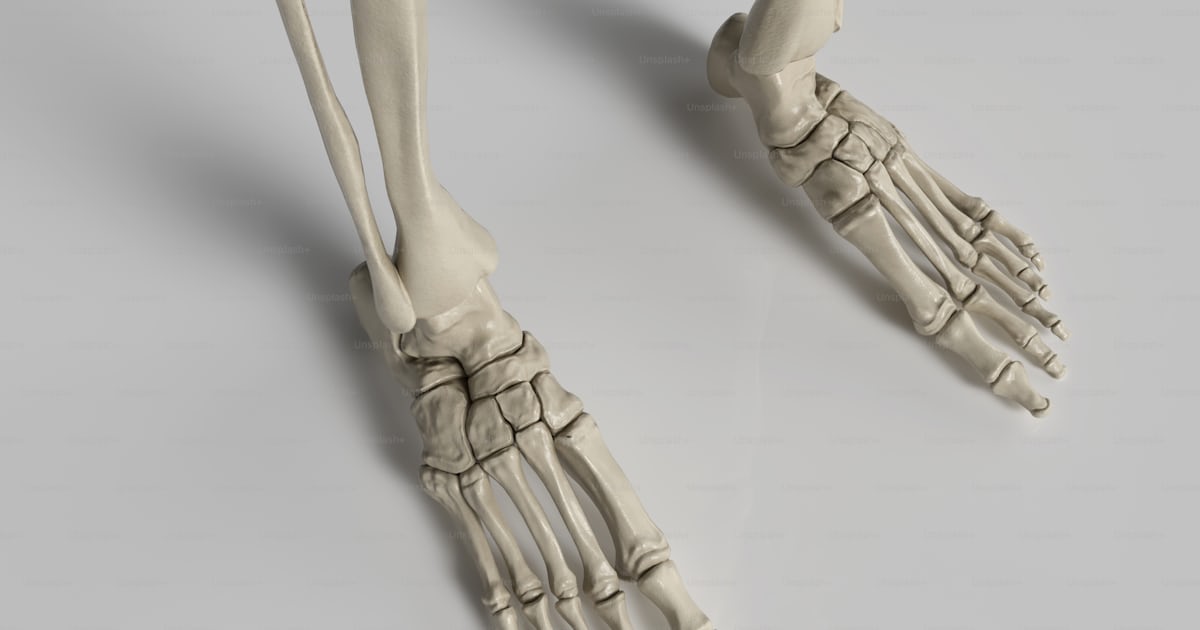 인간의 다리와 발의 3d 렌더링 사진 Unsplash의 뼈 이미지