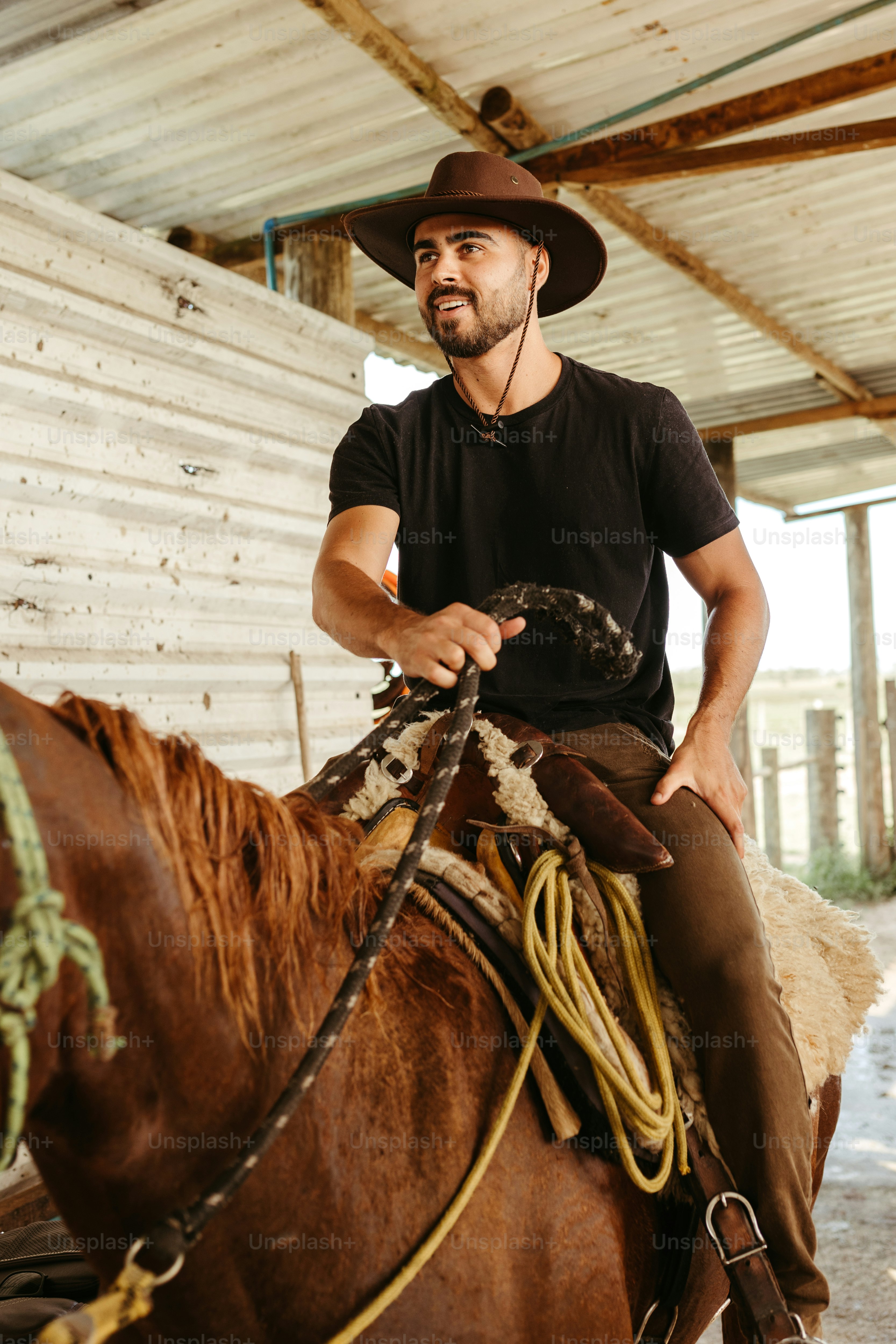 A man in a cowboy hat riding a horse photo – Horse Image on Unsplash