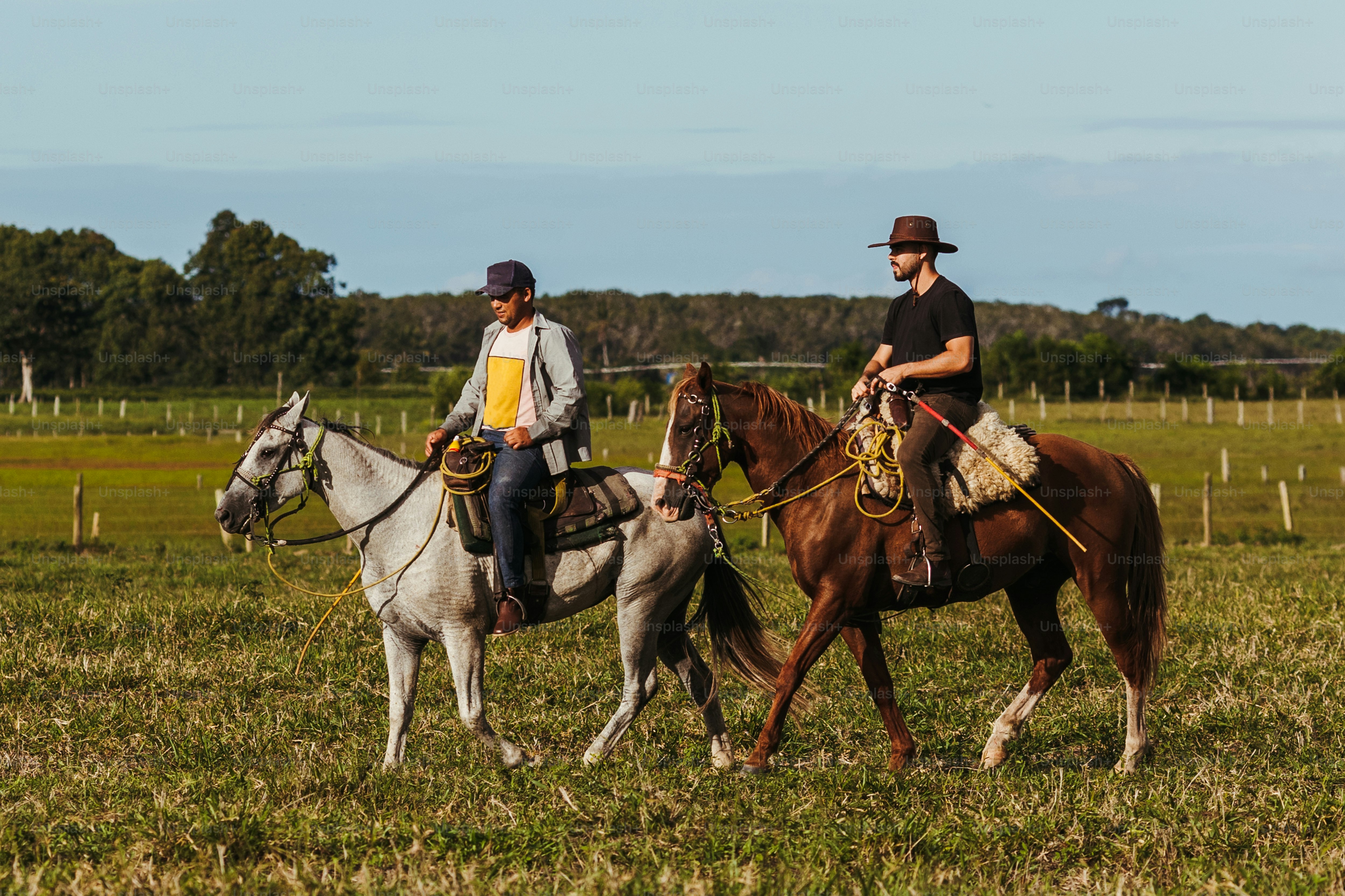 Un couple d’hommes sur le dos de chevaux photo – Cheval Photo sur Unsplash