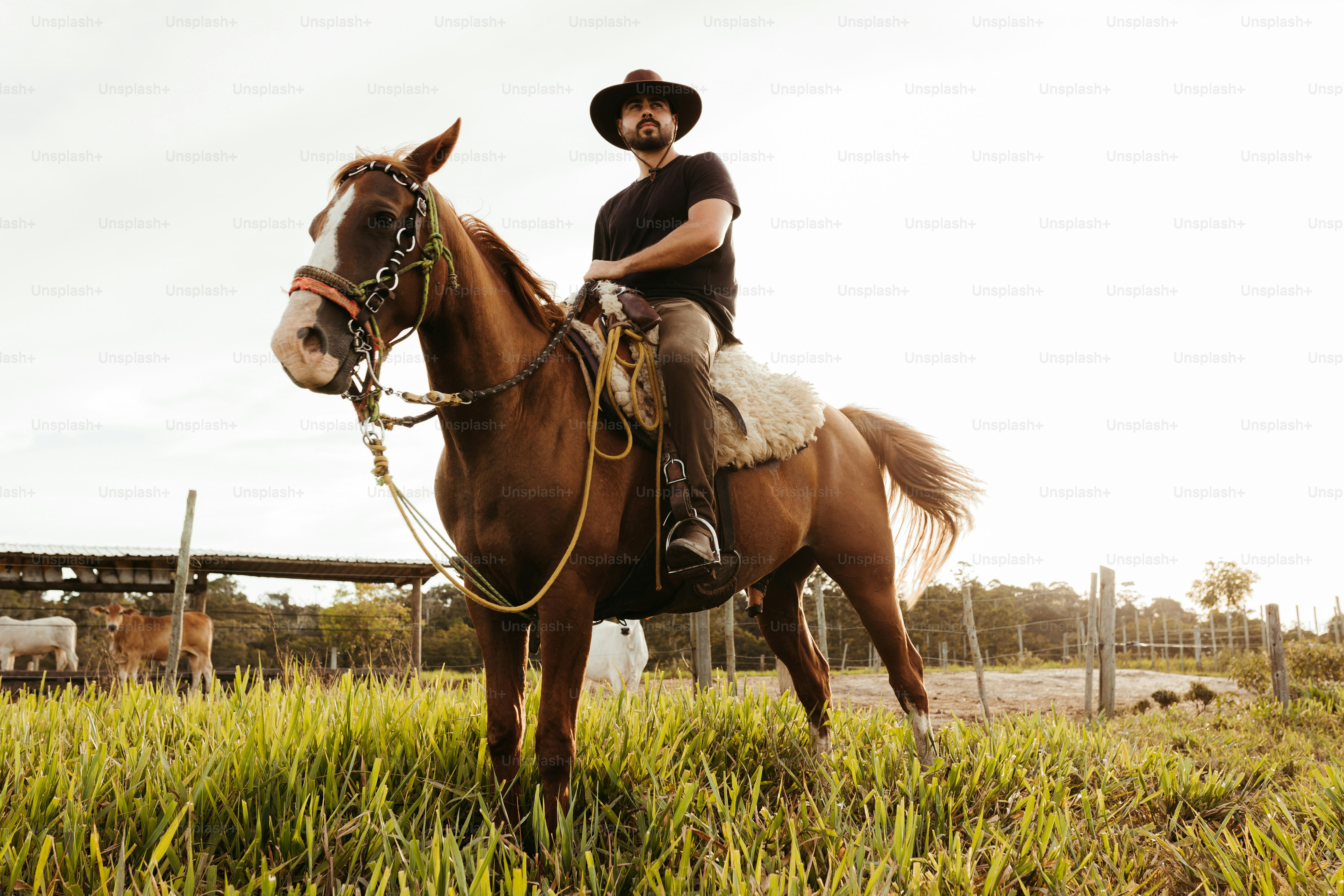 A man in a cowboy hat riding a horse photo – Riding Image on Unsplash