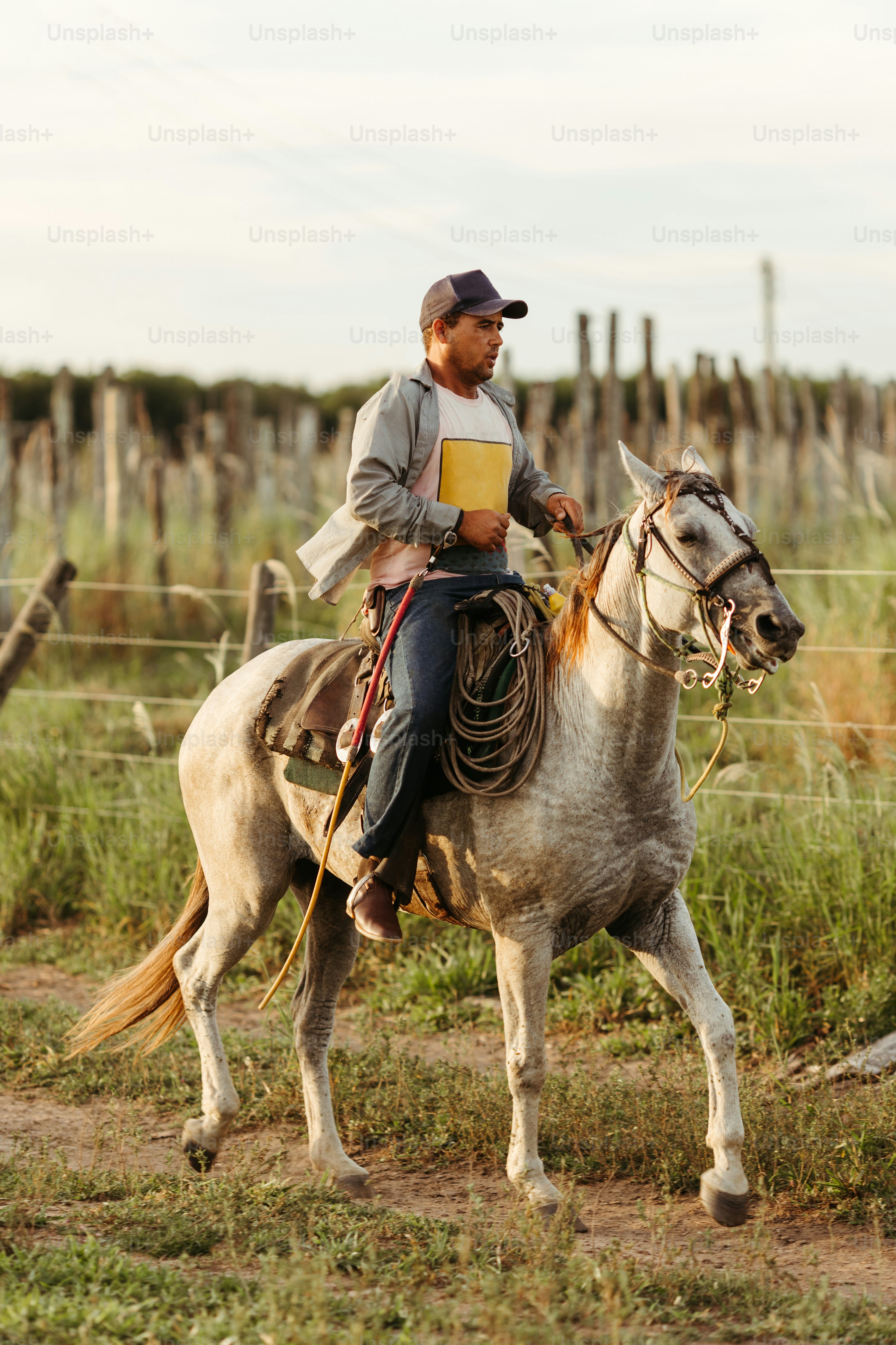 A man riding on the back of a brown horse photo – Man on horse Image on ...